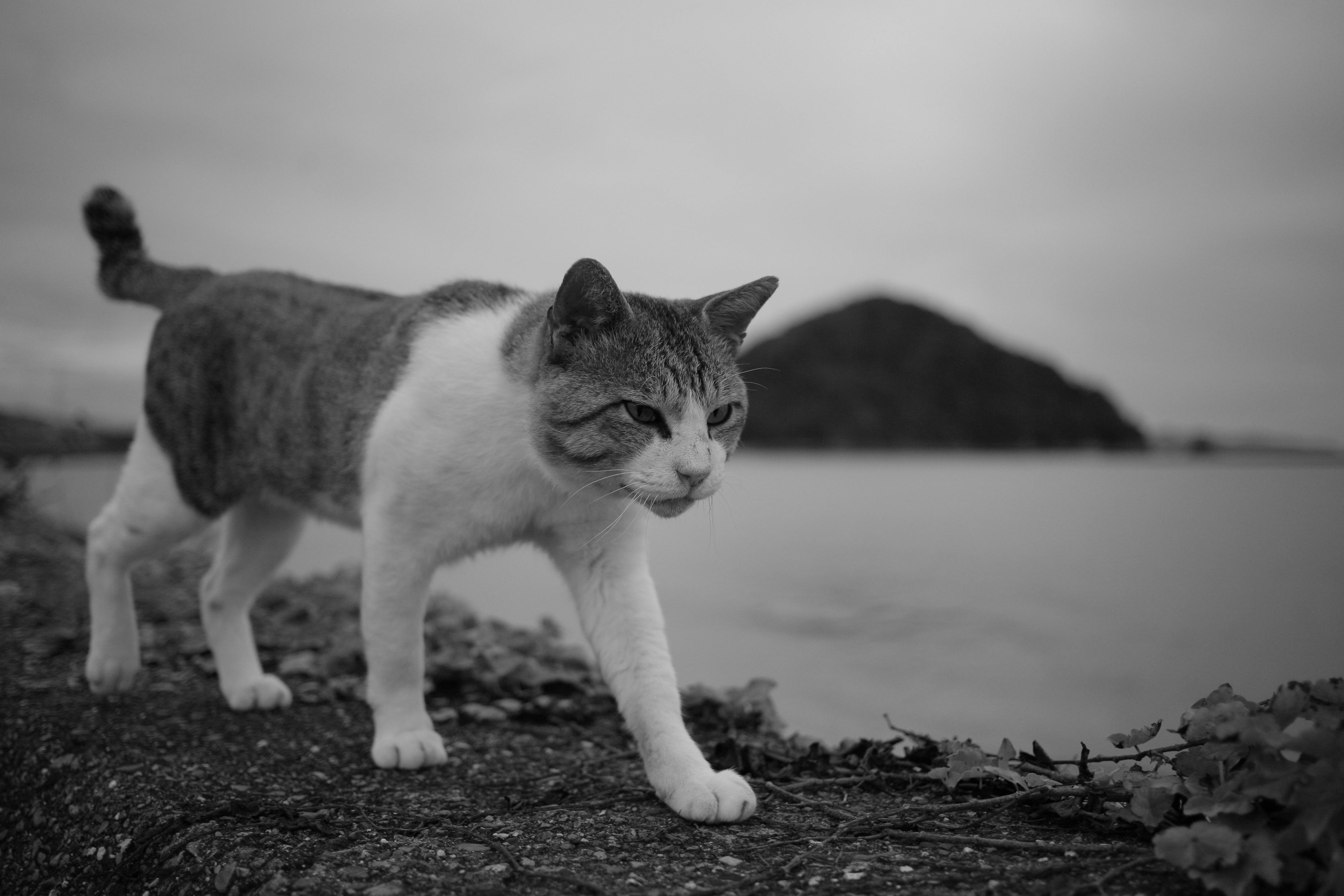 MATSUDA Akihiro - 攝影