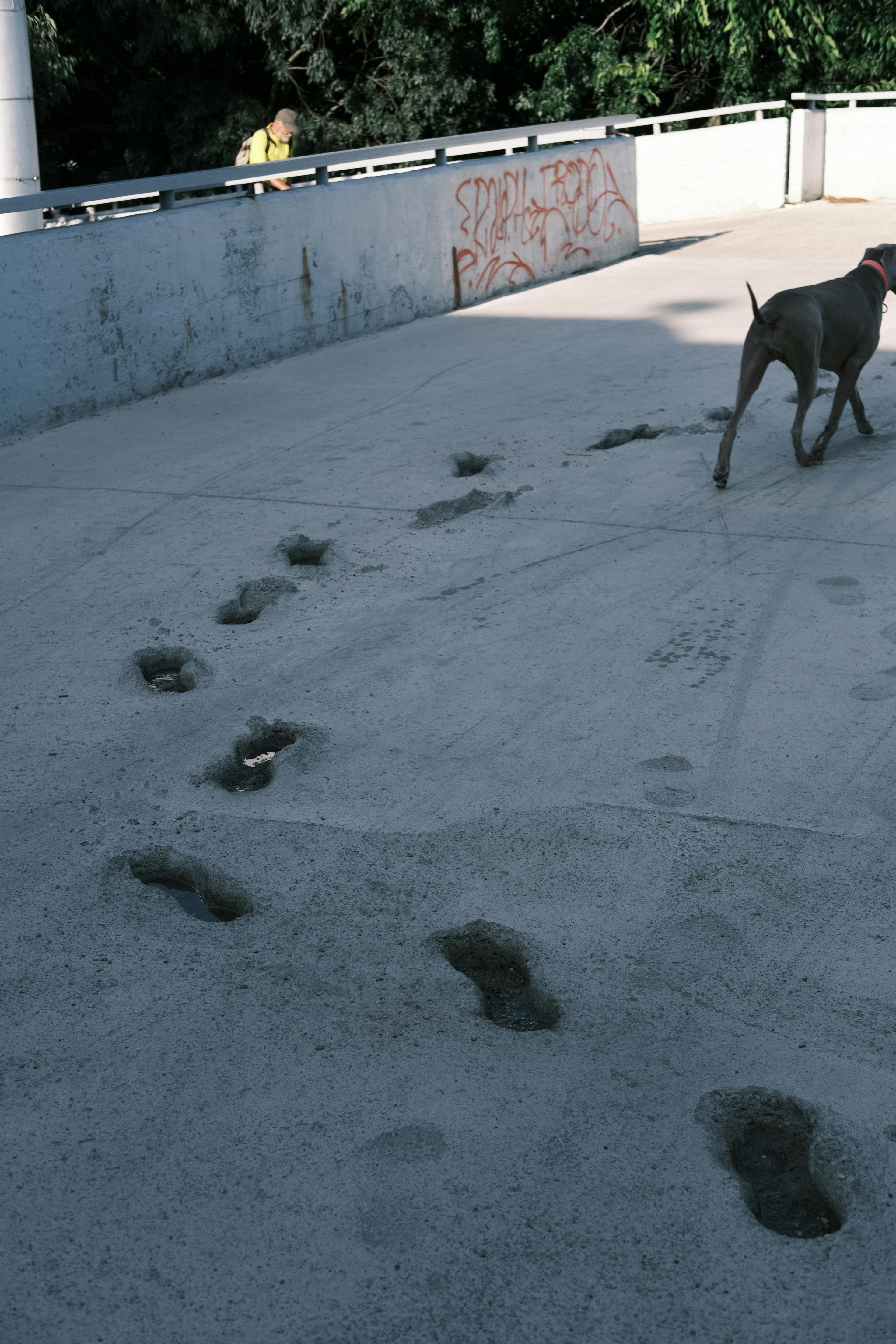 Footsteps on Concrete Floor · Free Stock Photo