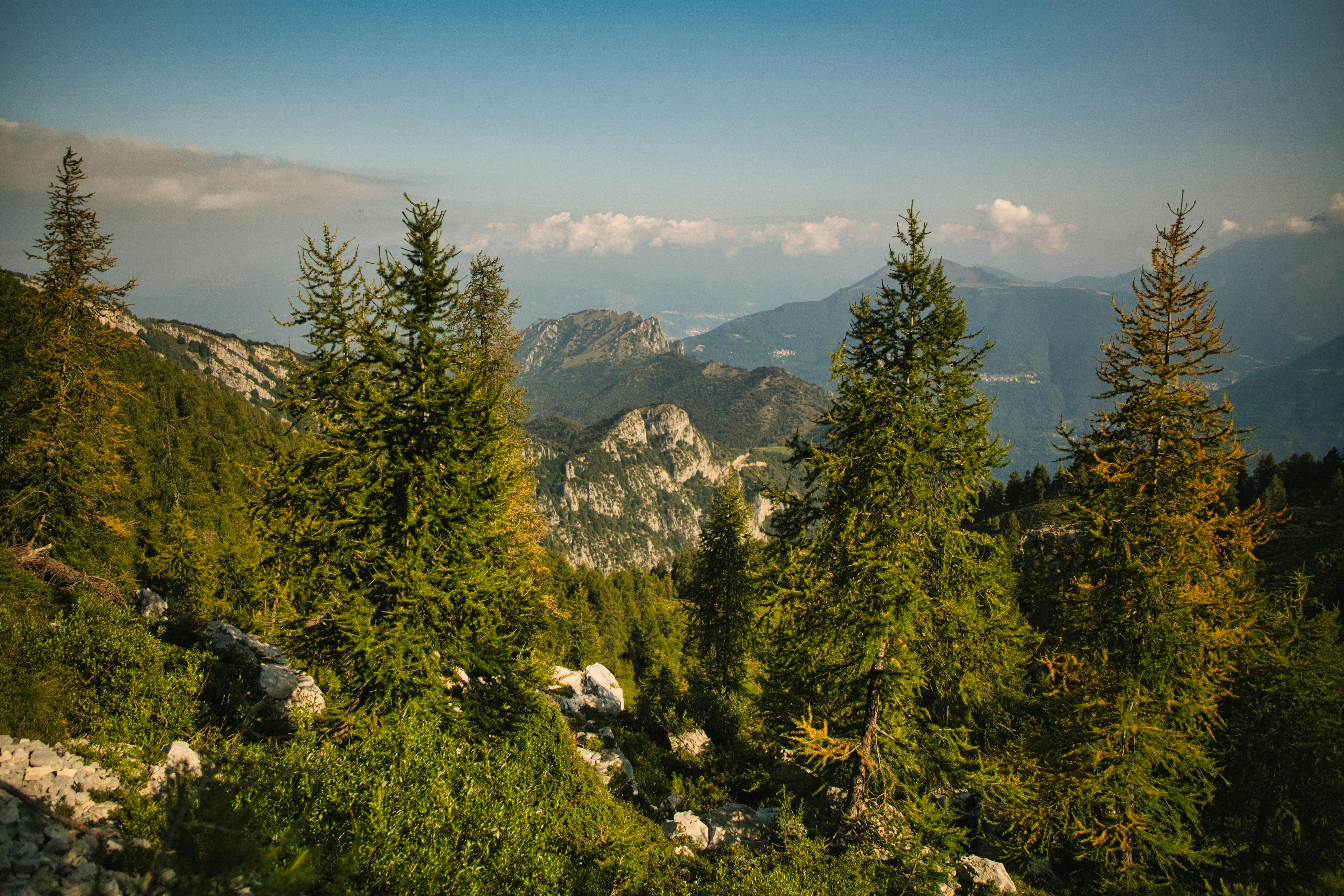 Green Plants Covered Mountain · Free Stock Photo