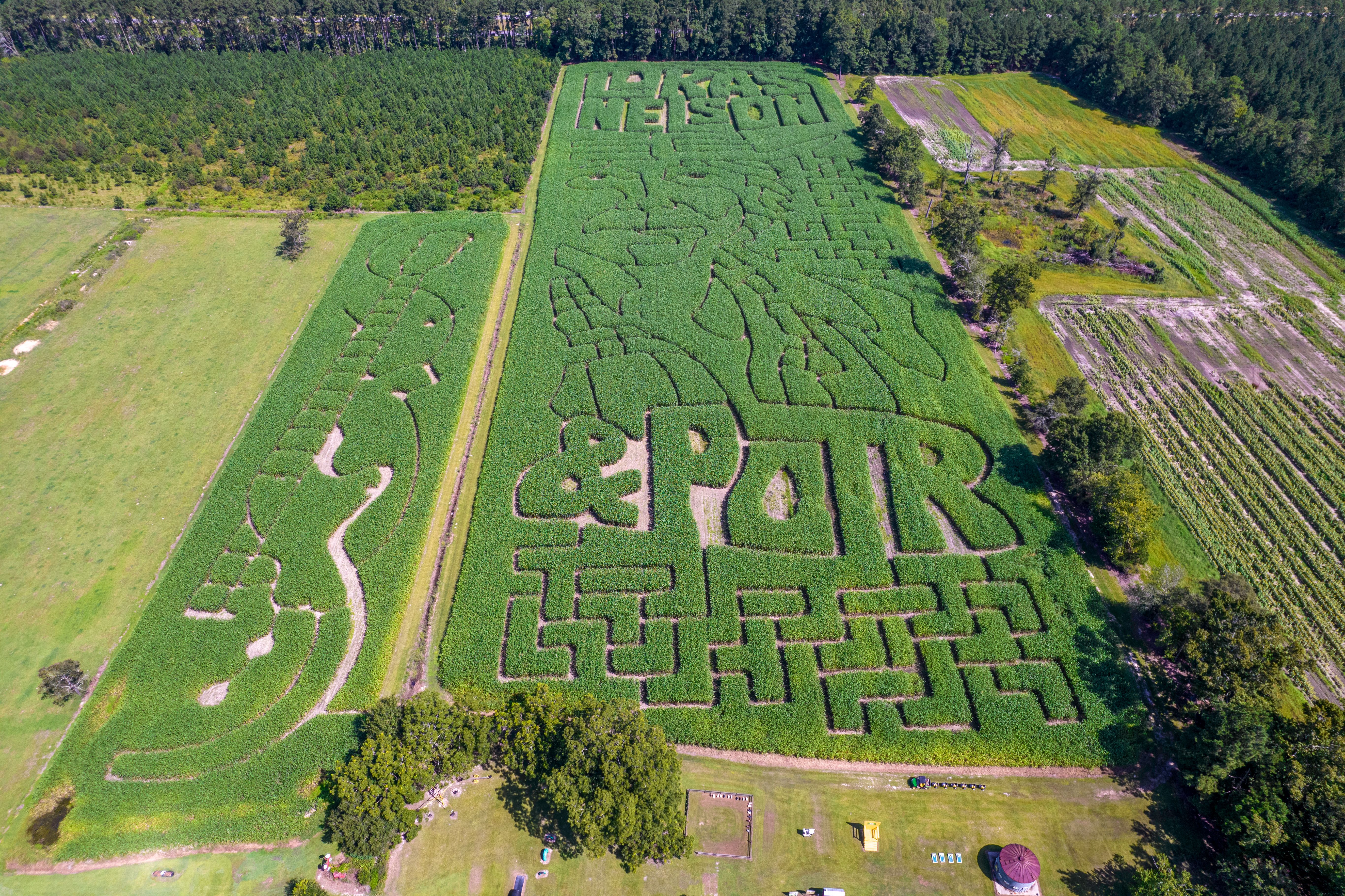 Family Corn Maze Photos, Download The BEST Free Family Corn Maze Stock ...
