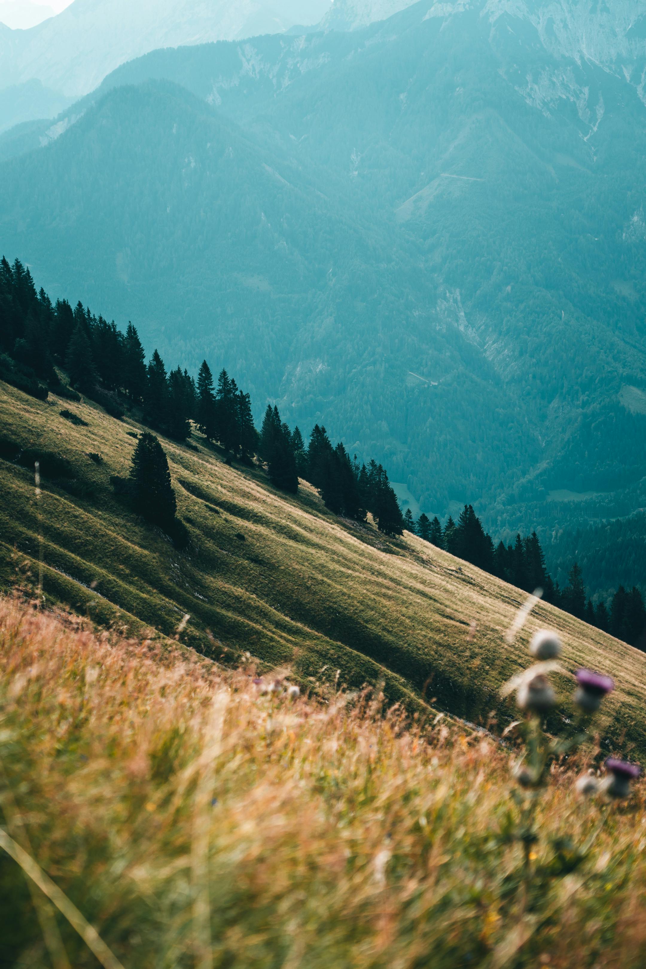 Vertical Landscapes · Pexels