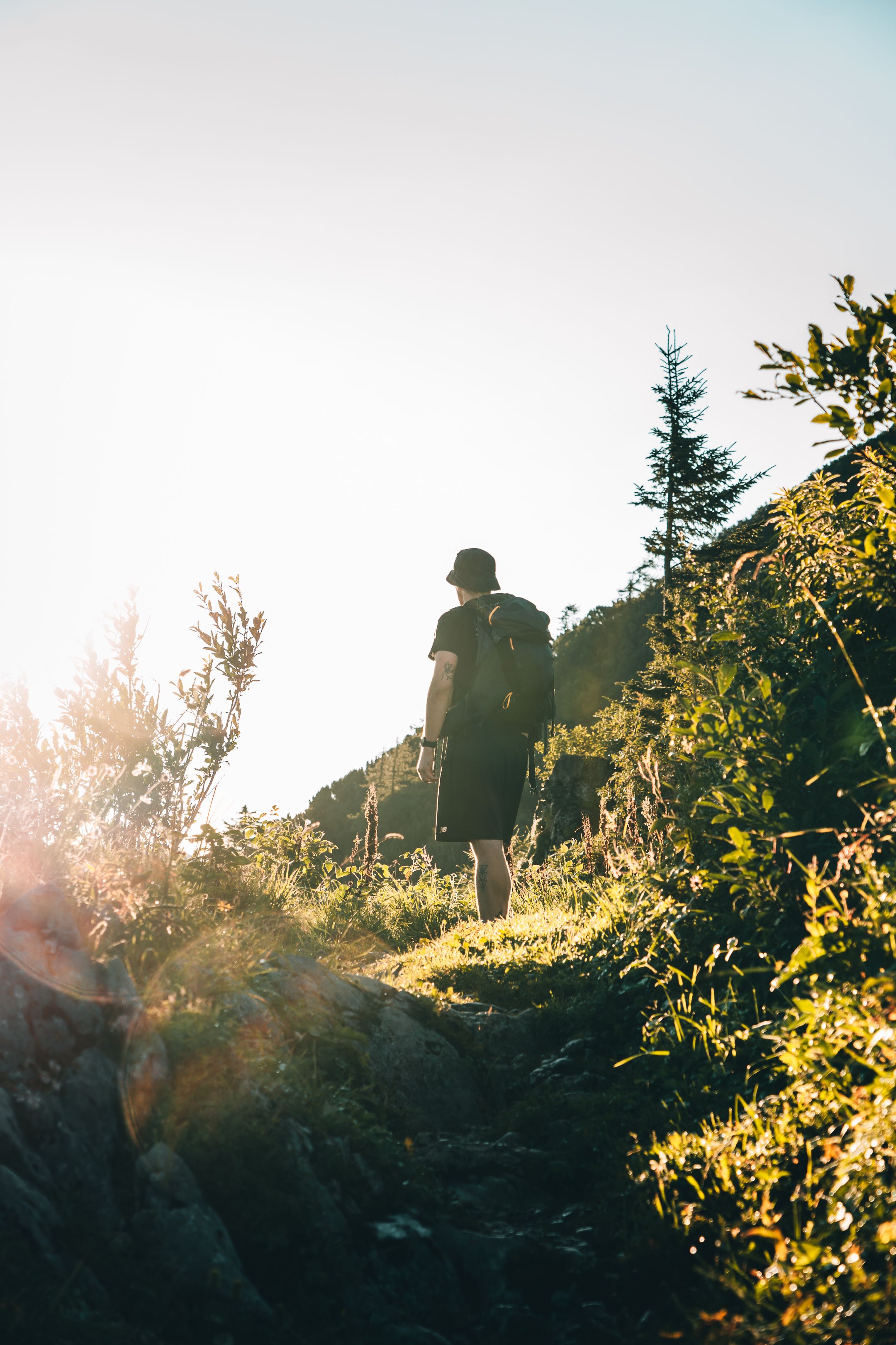 Male Hiker Standing on the Grass in the Mountains · Free Stock Photo