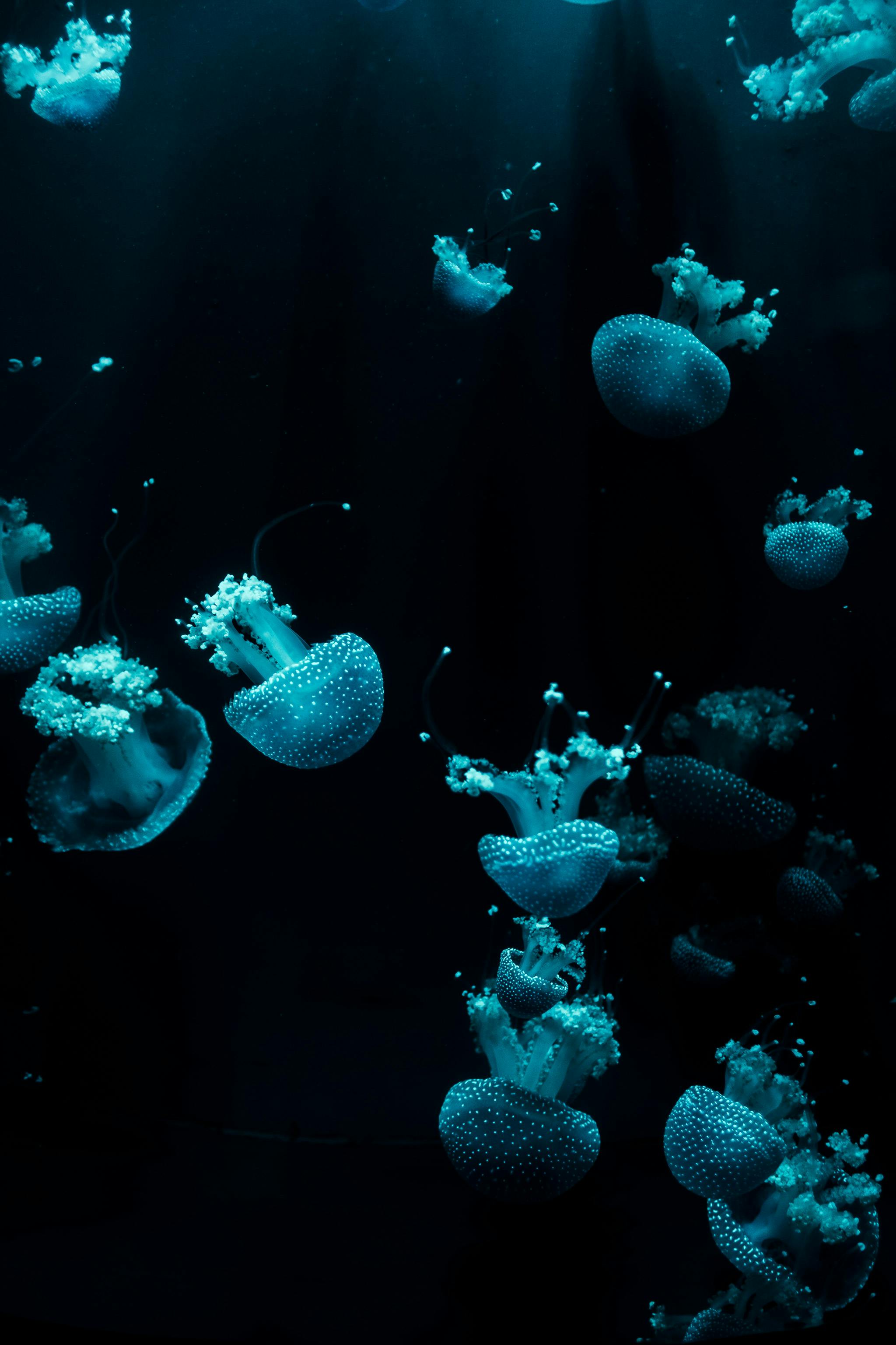 Glowing Water Photos, Download The BEST Free Glowing Water Stock Photos ...