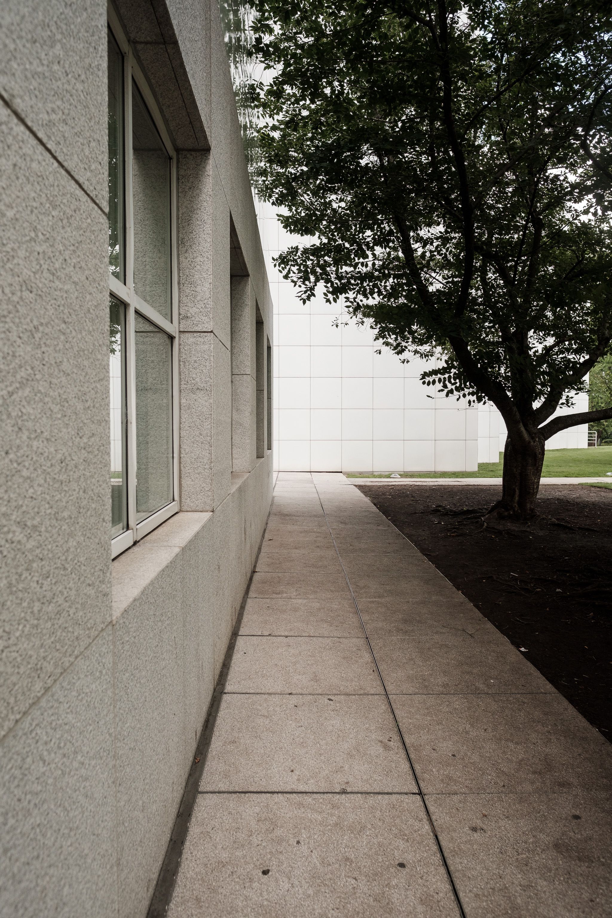 Pathway Beside a Building near a Tree · Free Stock Photo