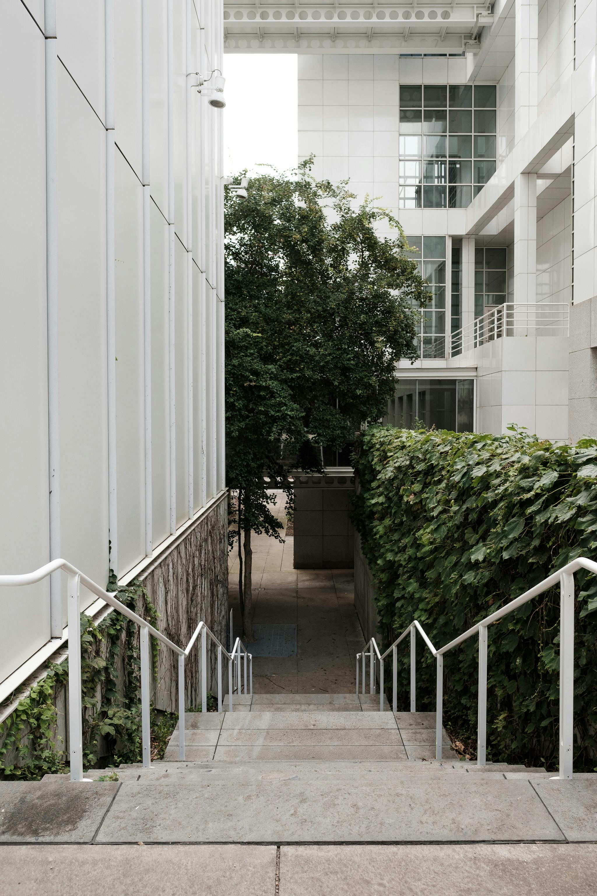 Gray Concrete Walkway with Metal Handrails · Free Stock Photo