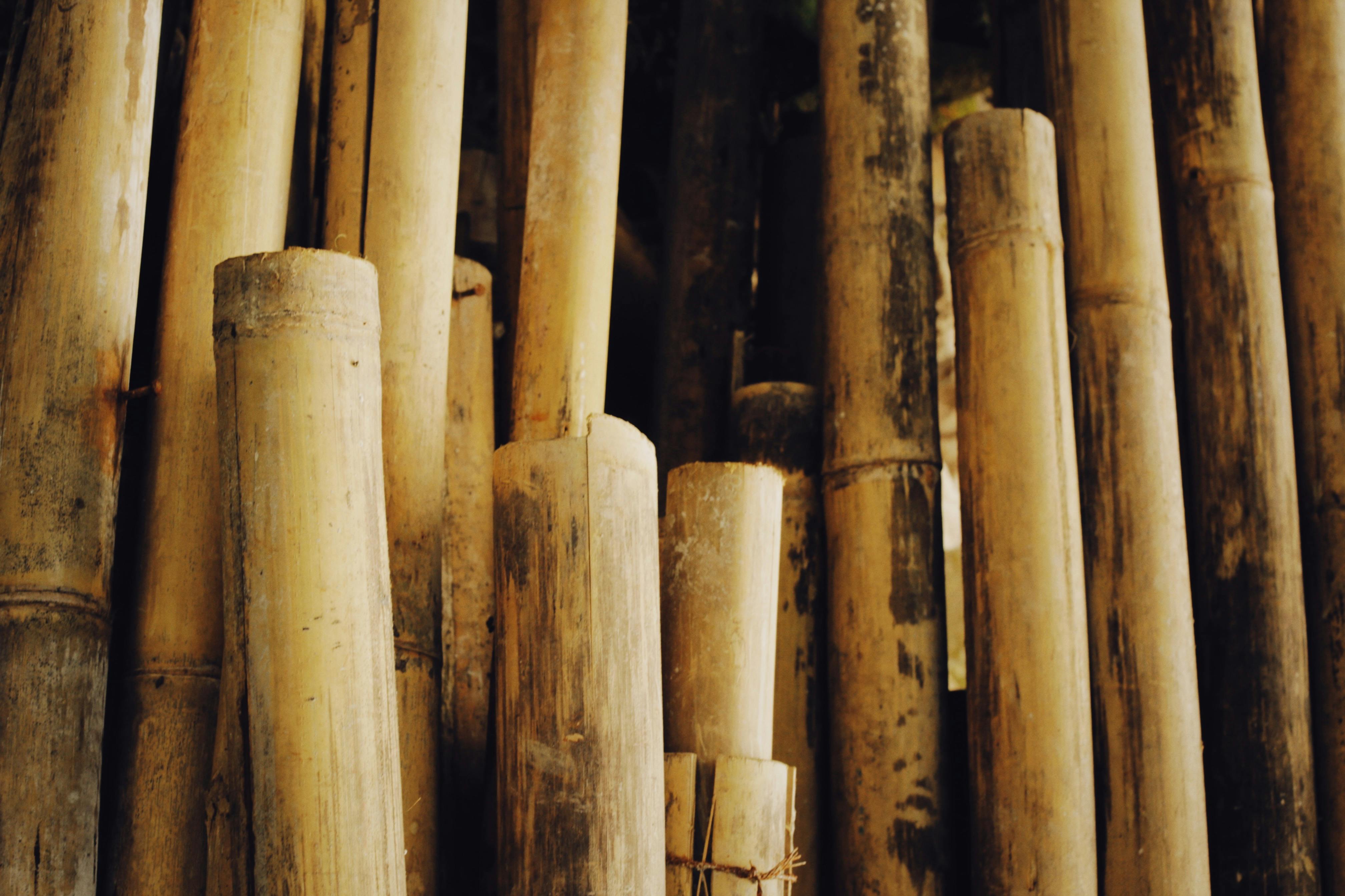 Brown Bamboo Sticks in Close Up Photography · Free Stock Photo