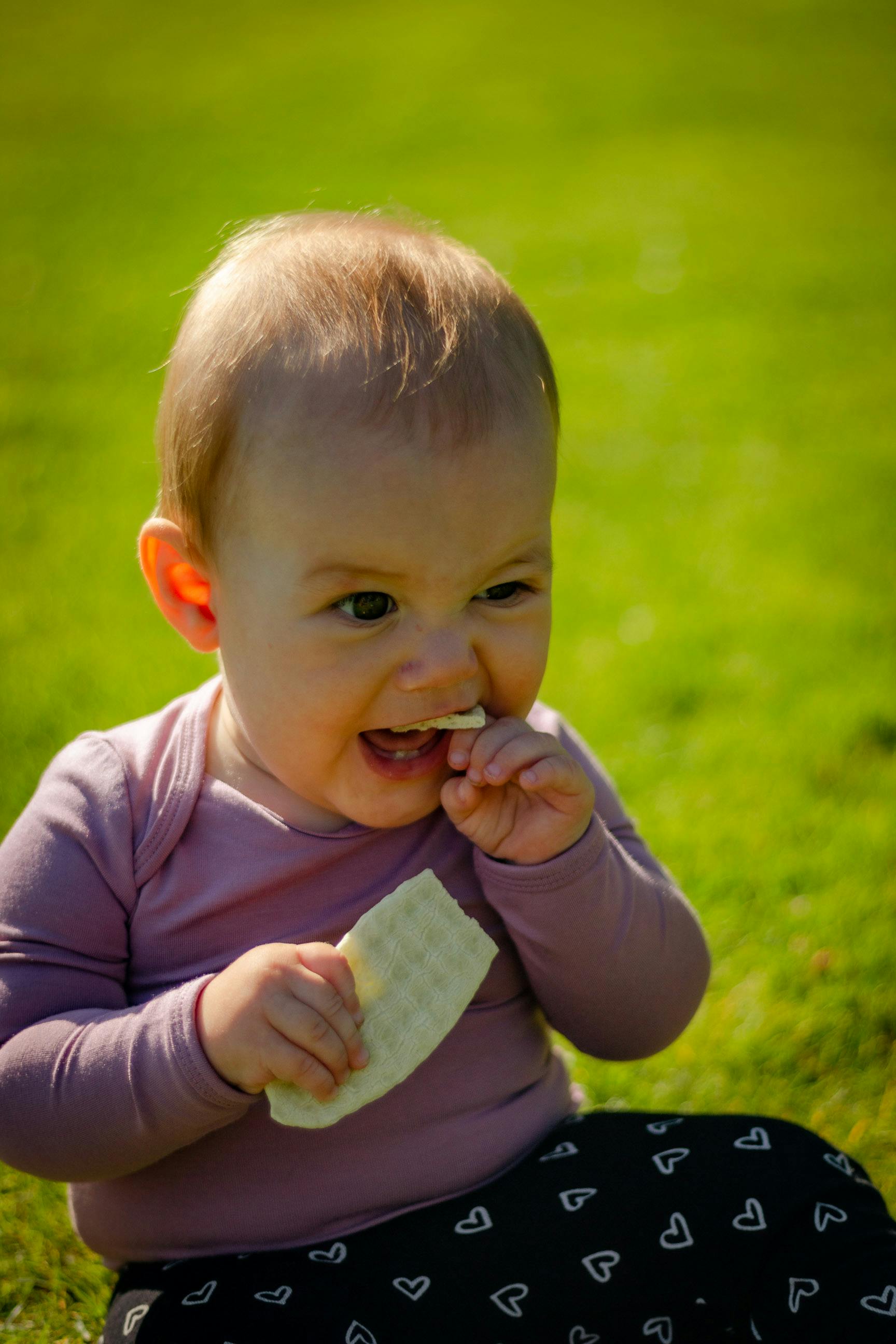 A Child Eating while Sitting on the grass · Free Stock Photo