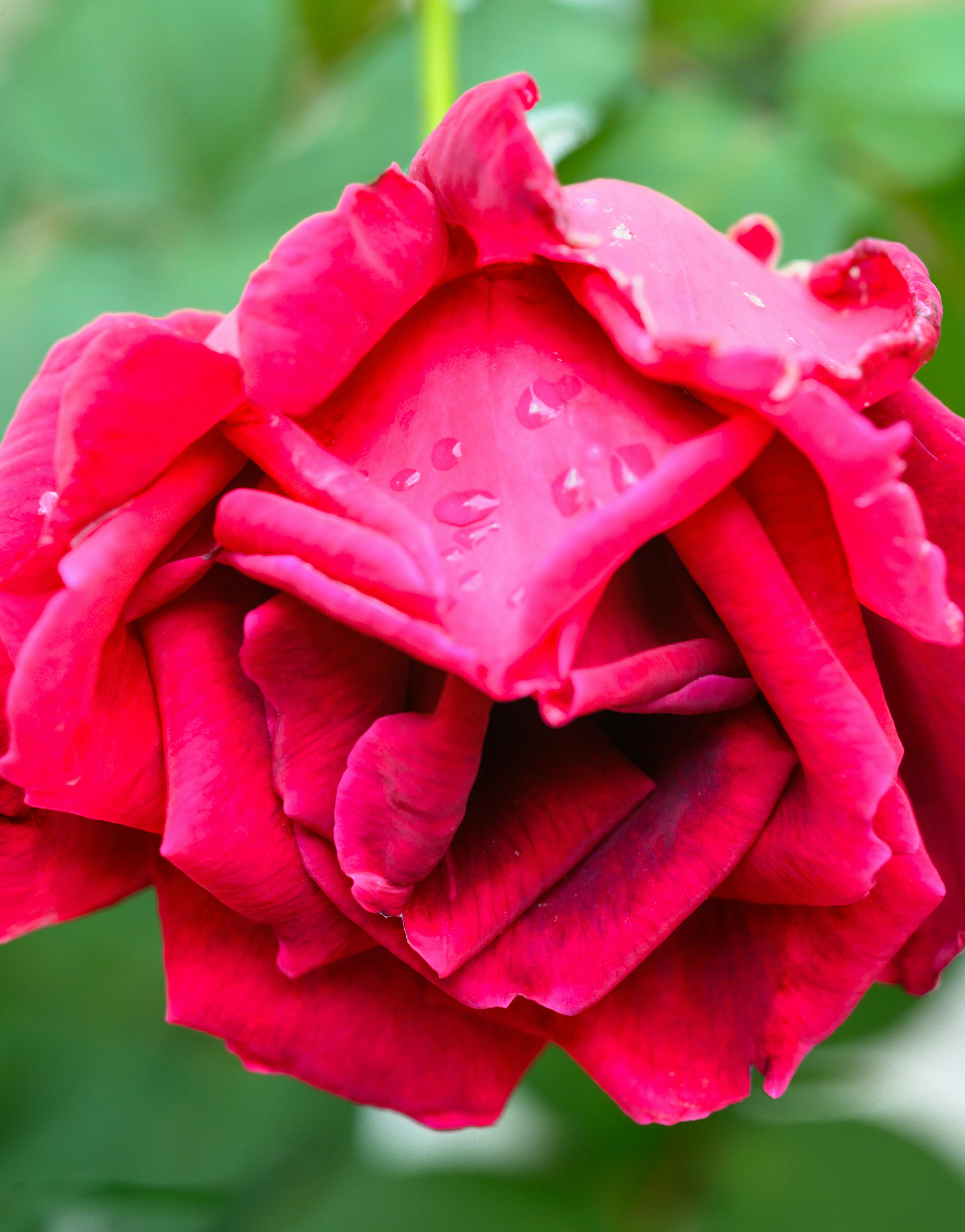 Avner Ben zvi - Photography