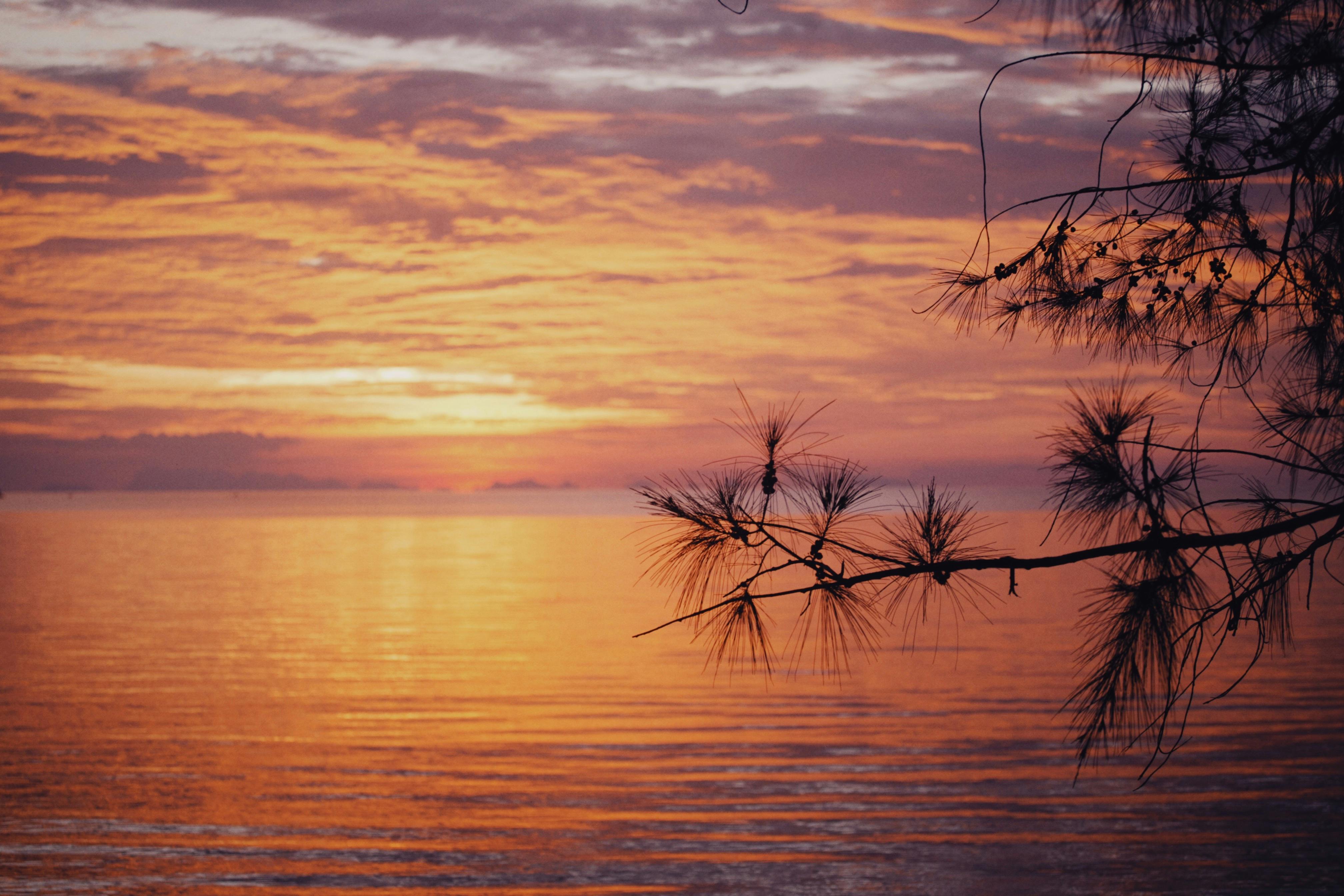 Ocean View During Sunset · Free Stock Photo