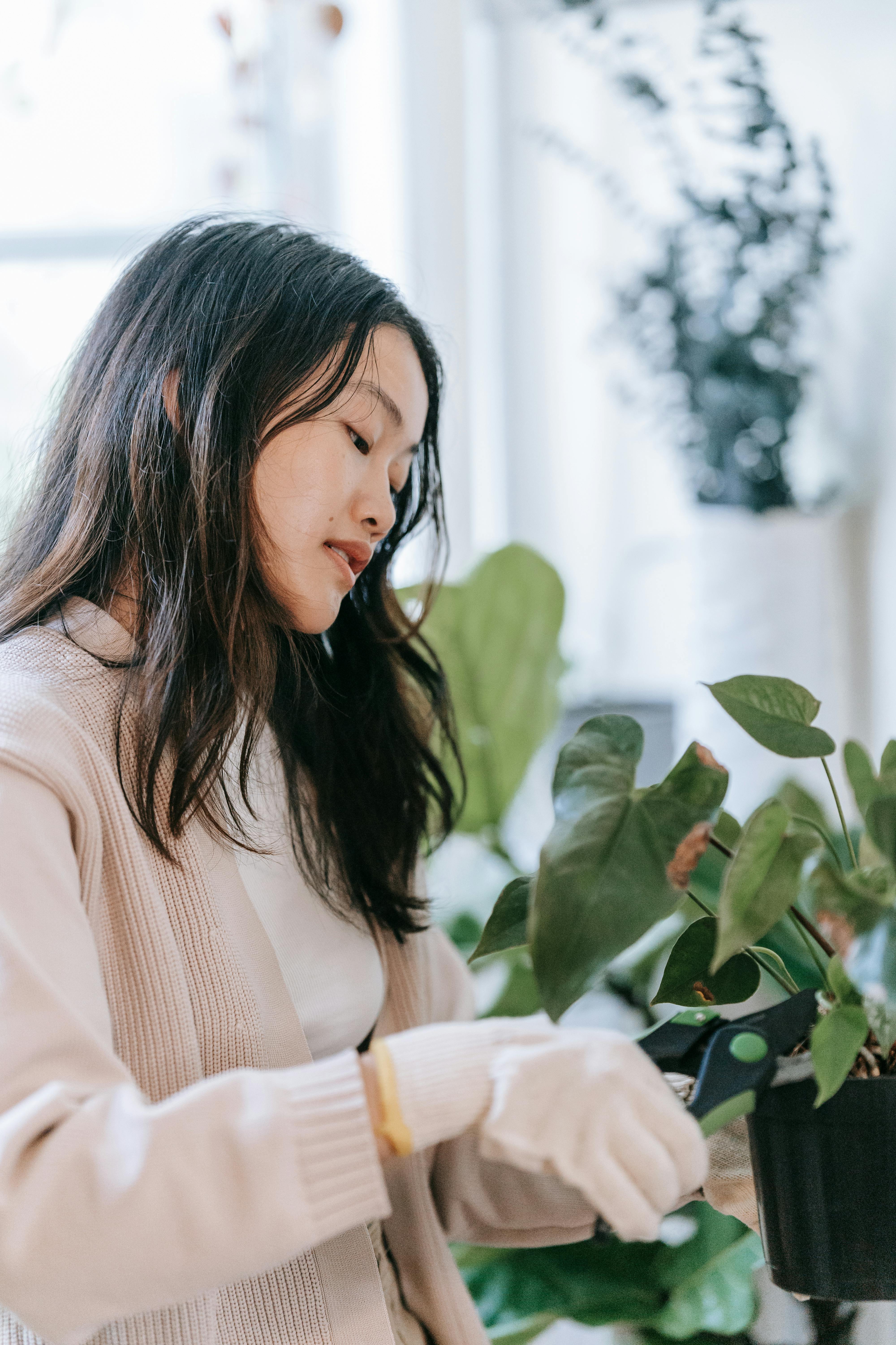Portrait of a Young Woman Potting Plants · Free Stock Photo