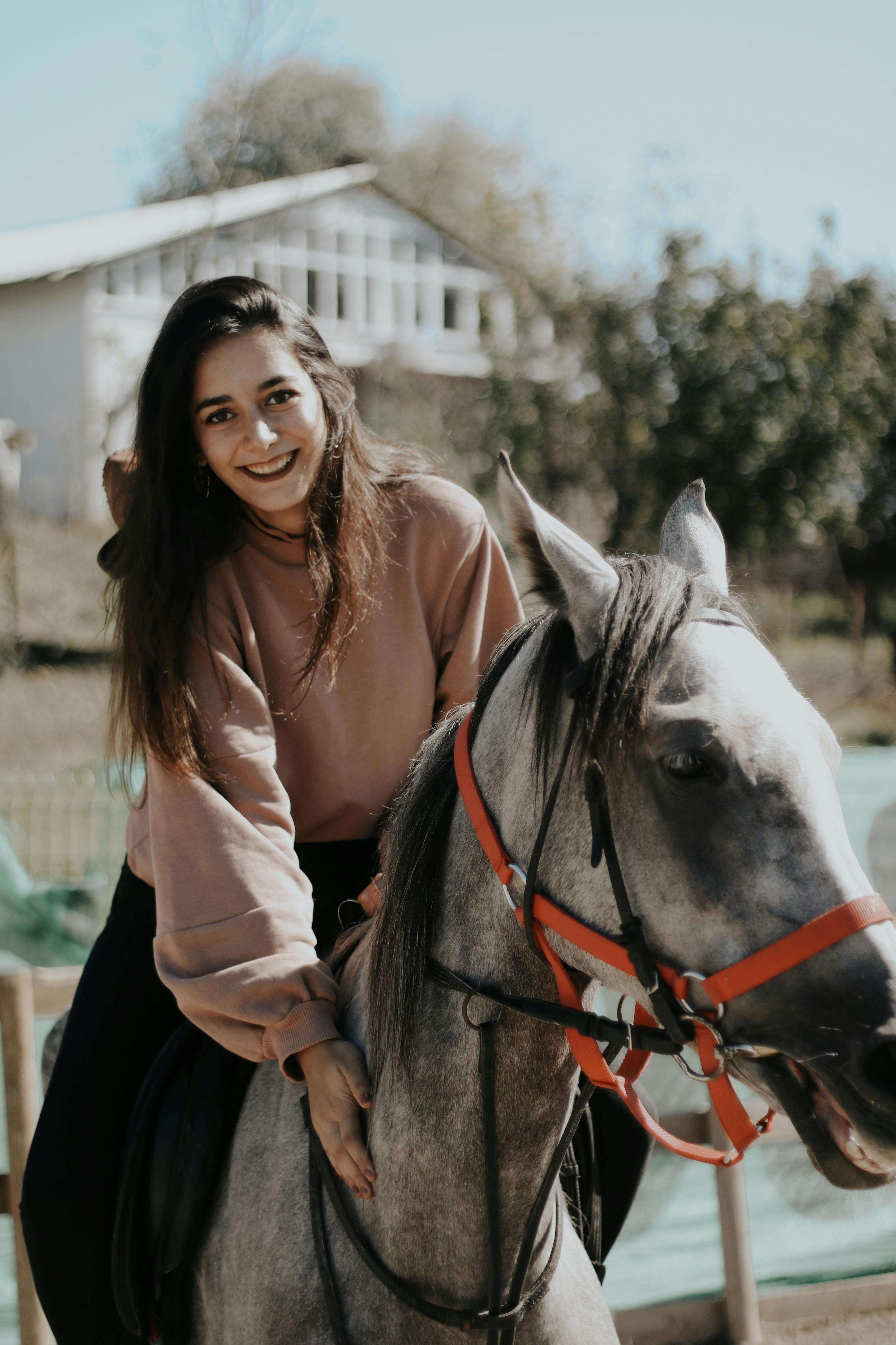 Beautiful Woman in Pink Sweater riding a Horse · Free Stock Photo