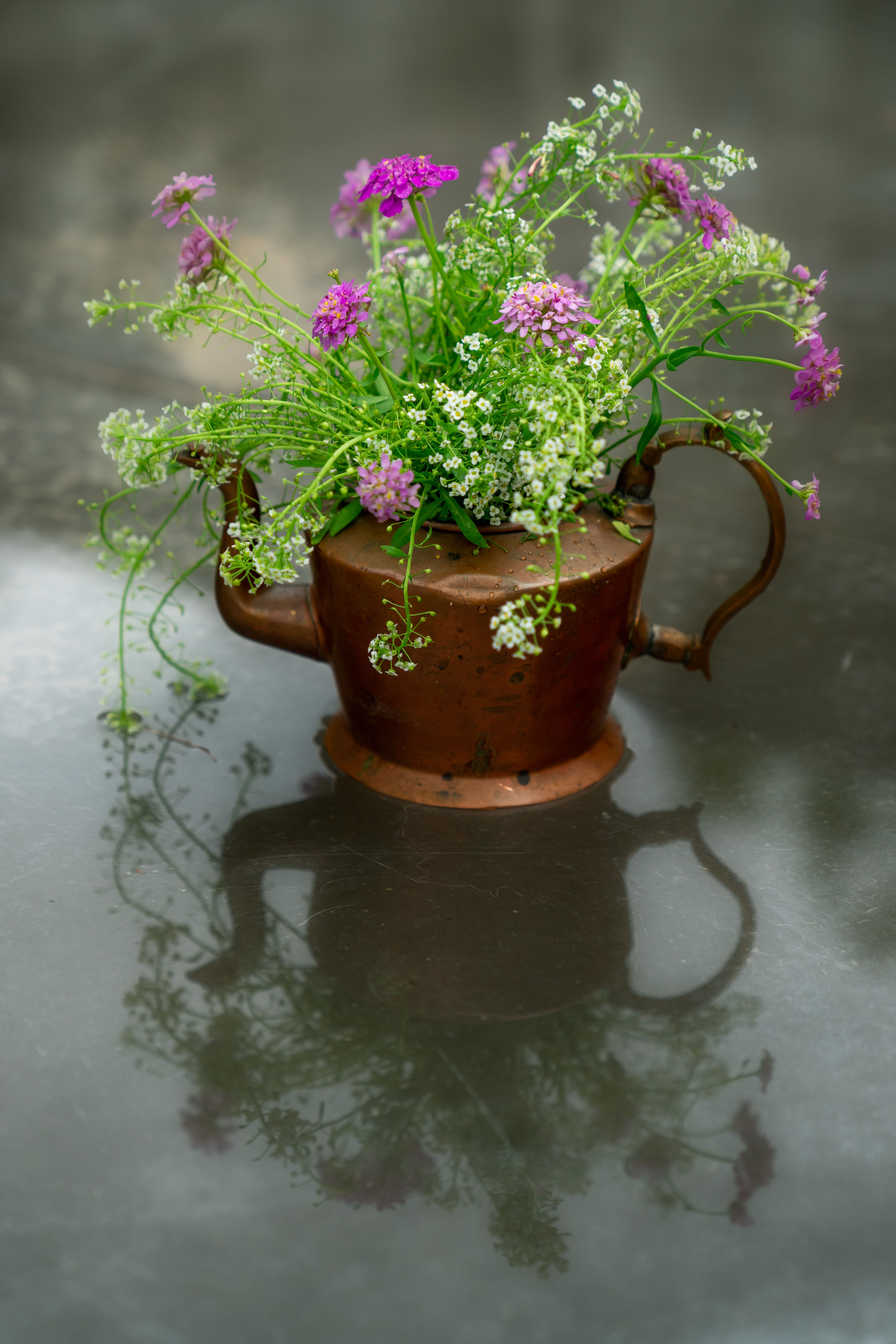 Flowers Arrangement in a Brass Kettle · Free Stock Photo