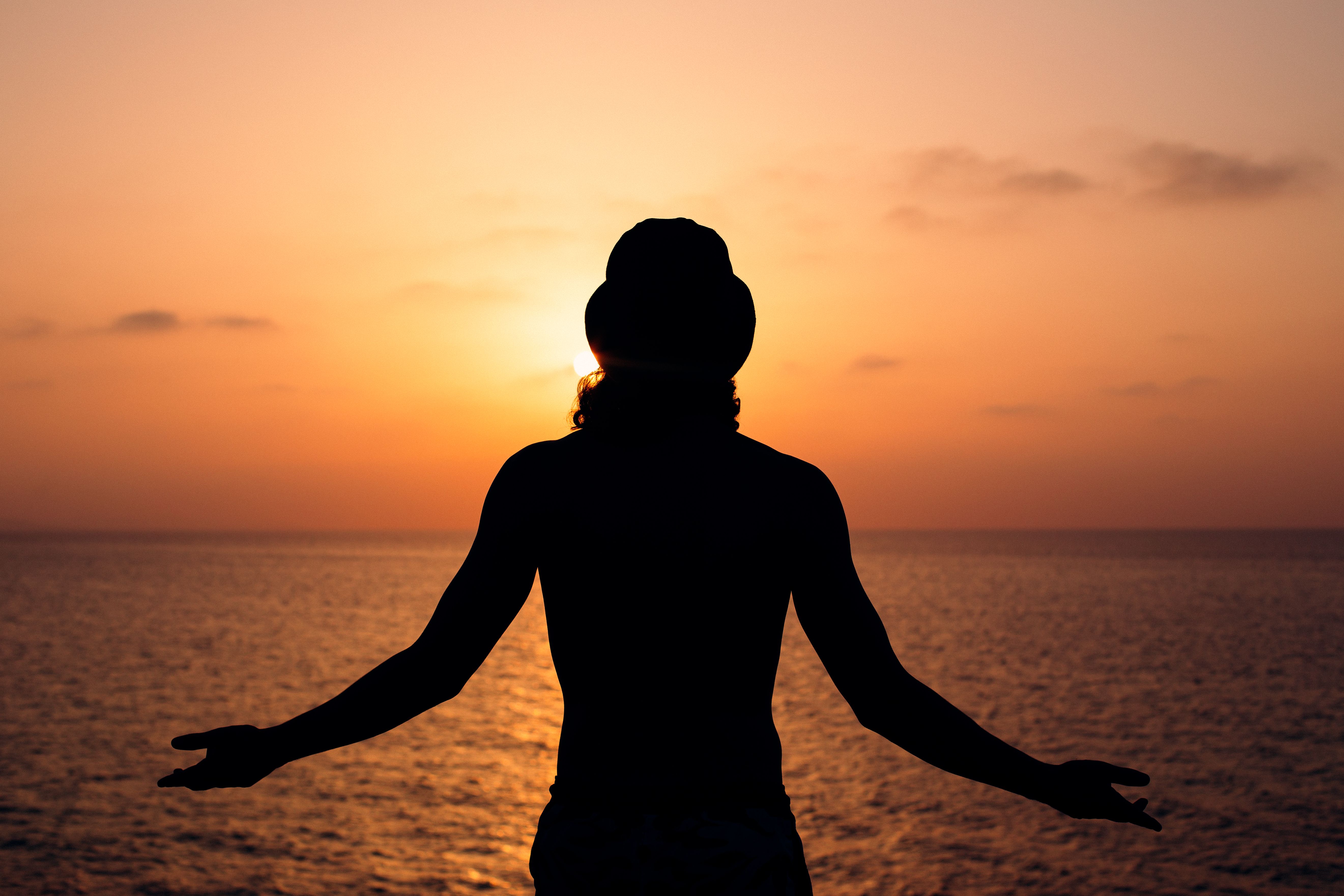Back View of a Person Looking the Sunset · Free Stock Photo