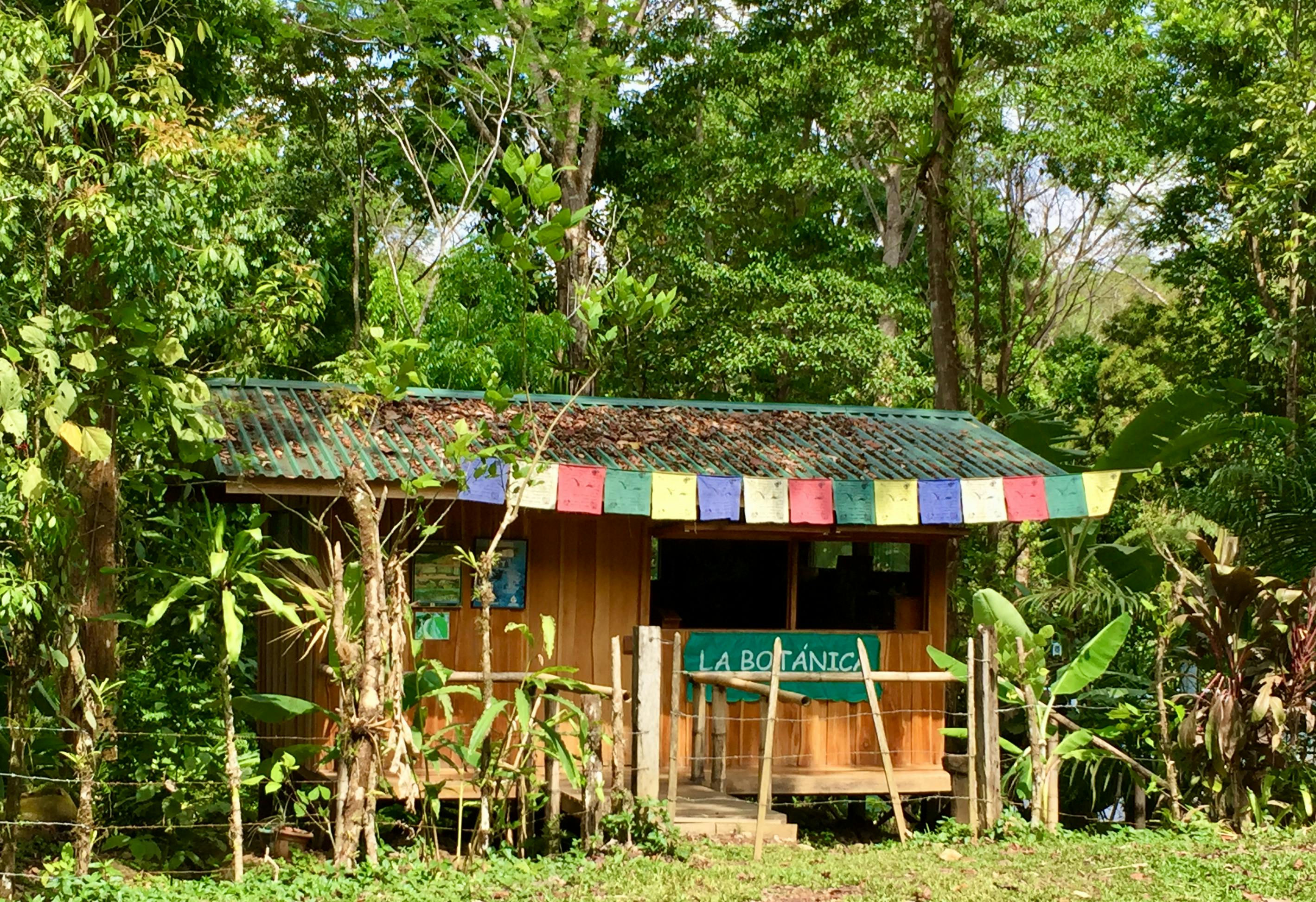 Kristen Hall - Photography