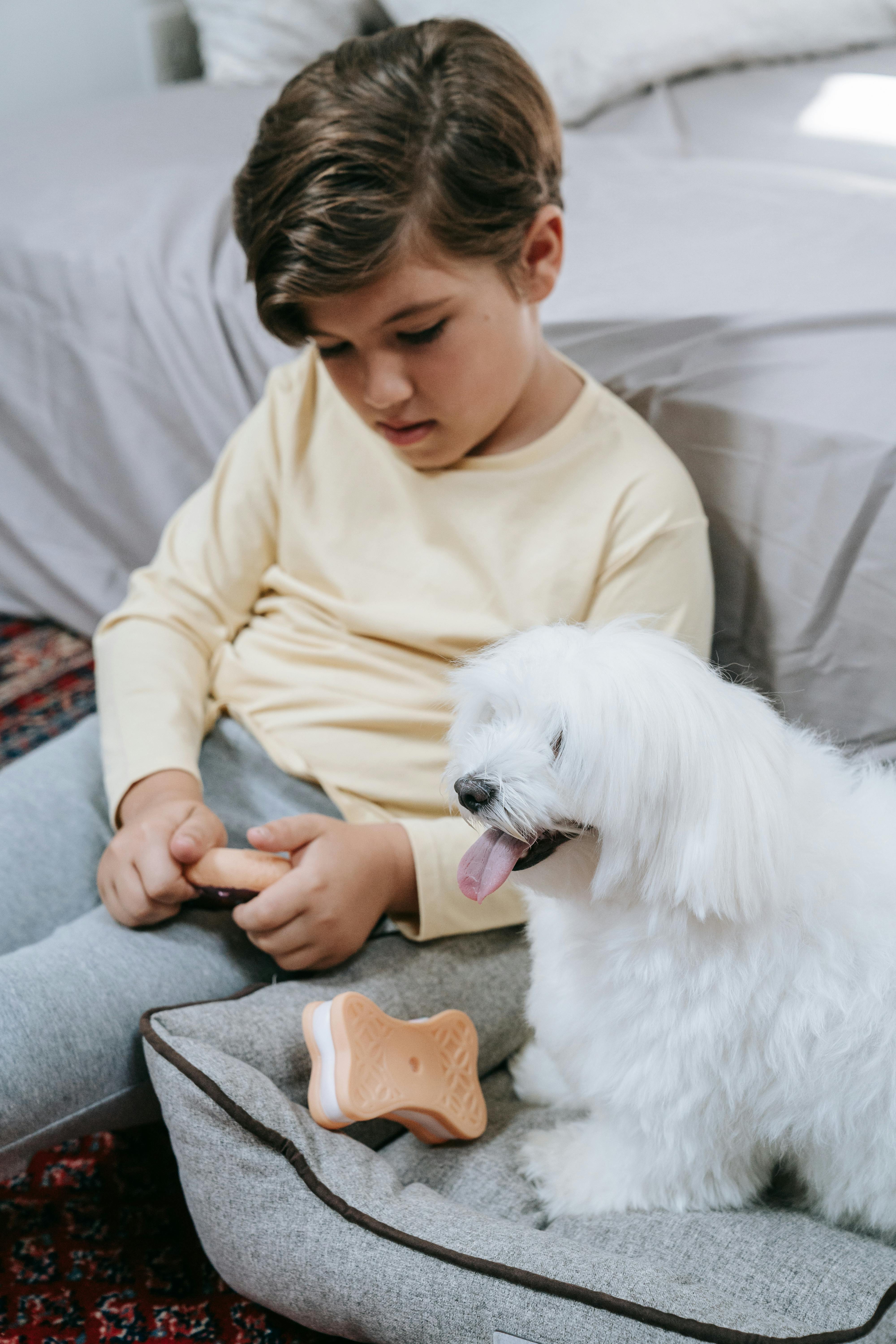 A Boy and His Adorable Dog · Free Stock Photo