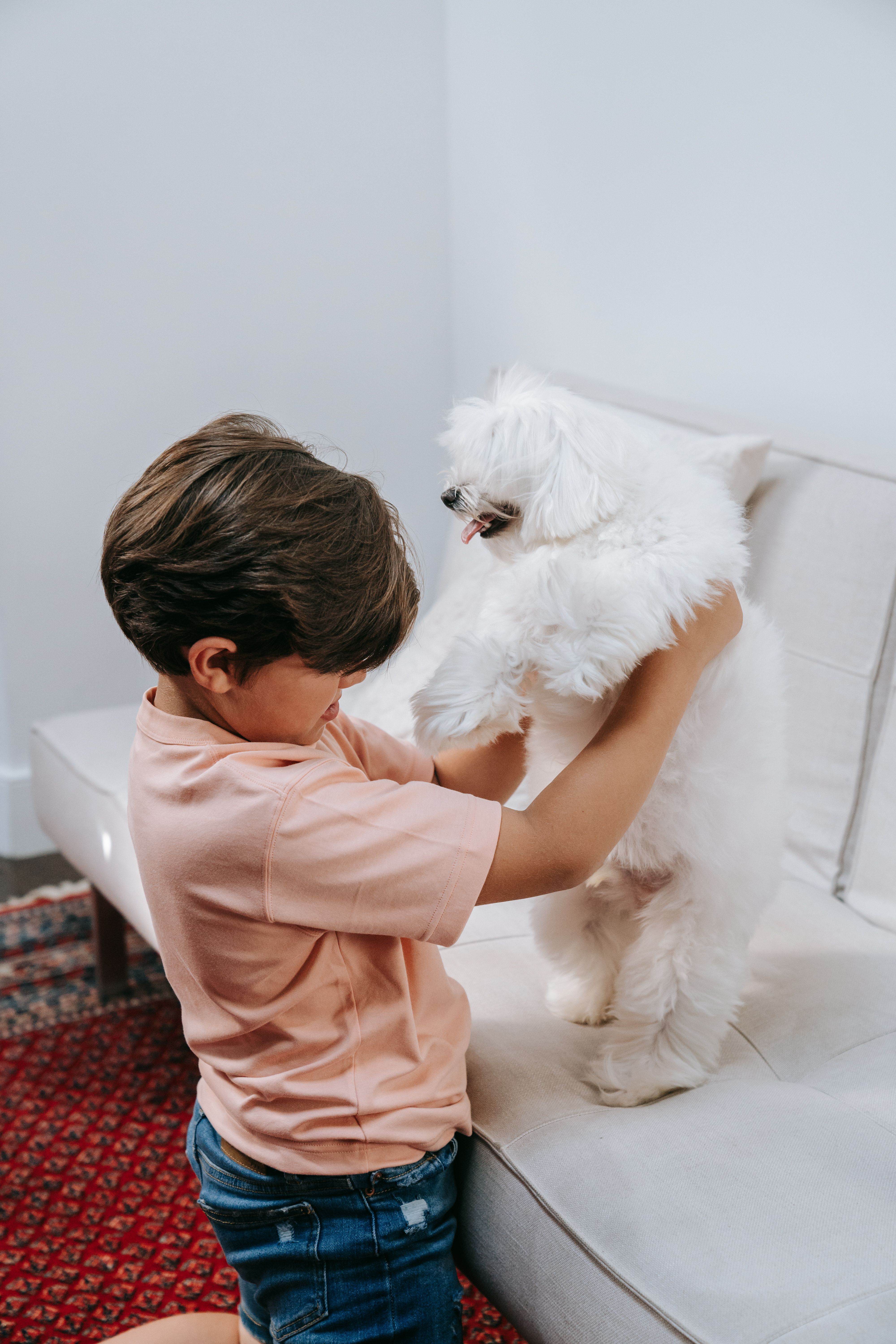 A Boy Carrying His Dog · Free Stock Photo