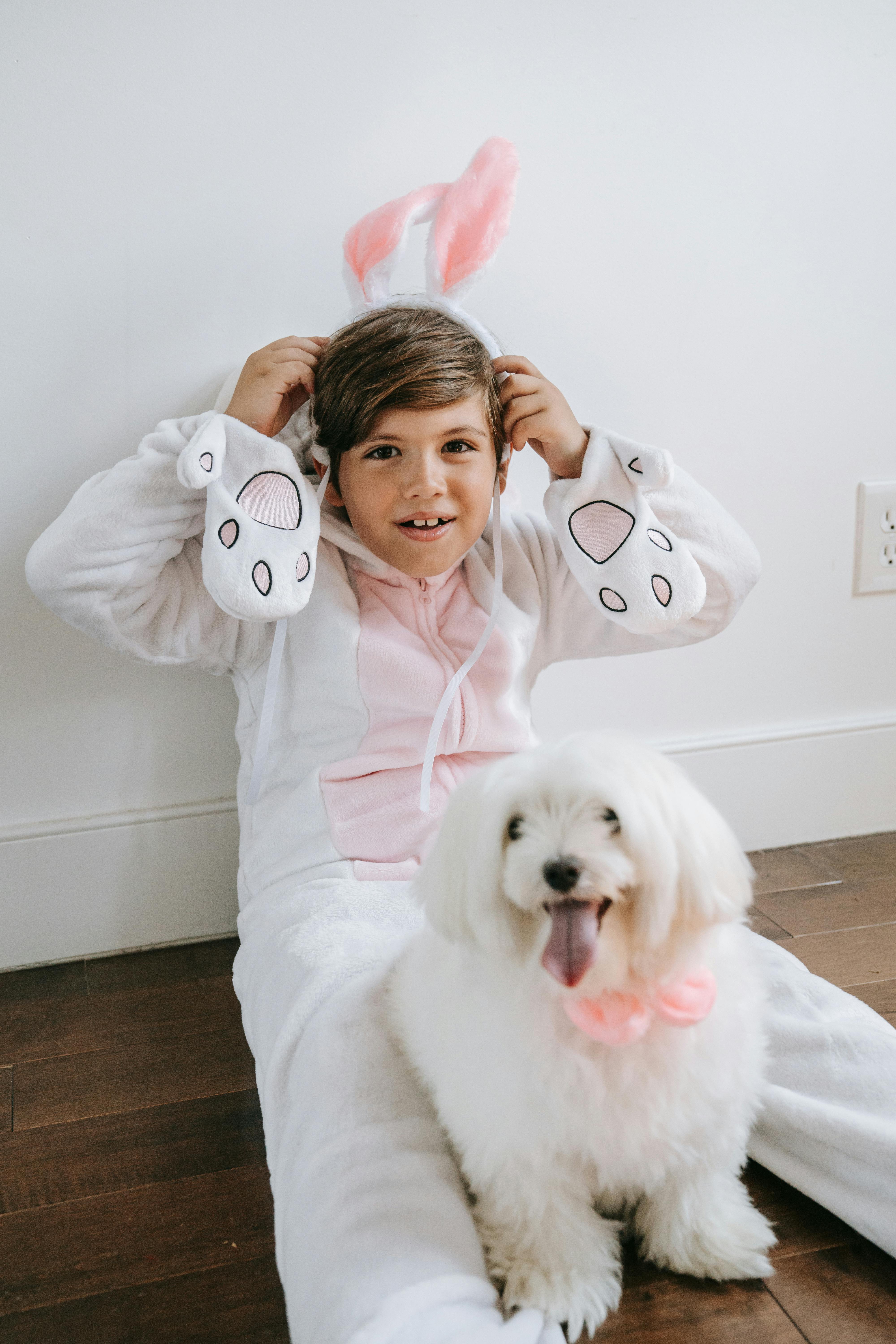 Dogs Wearing Cute Bows Photos, Download The BEST Free Dogs Wearing Cute ...