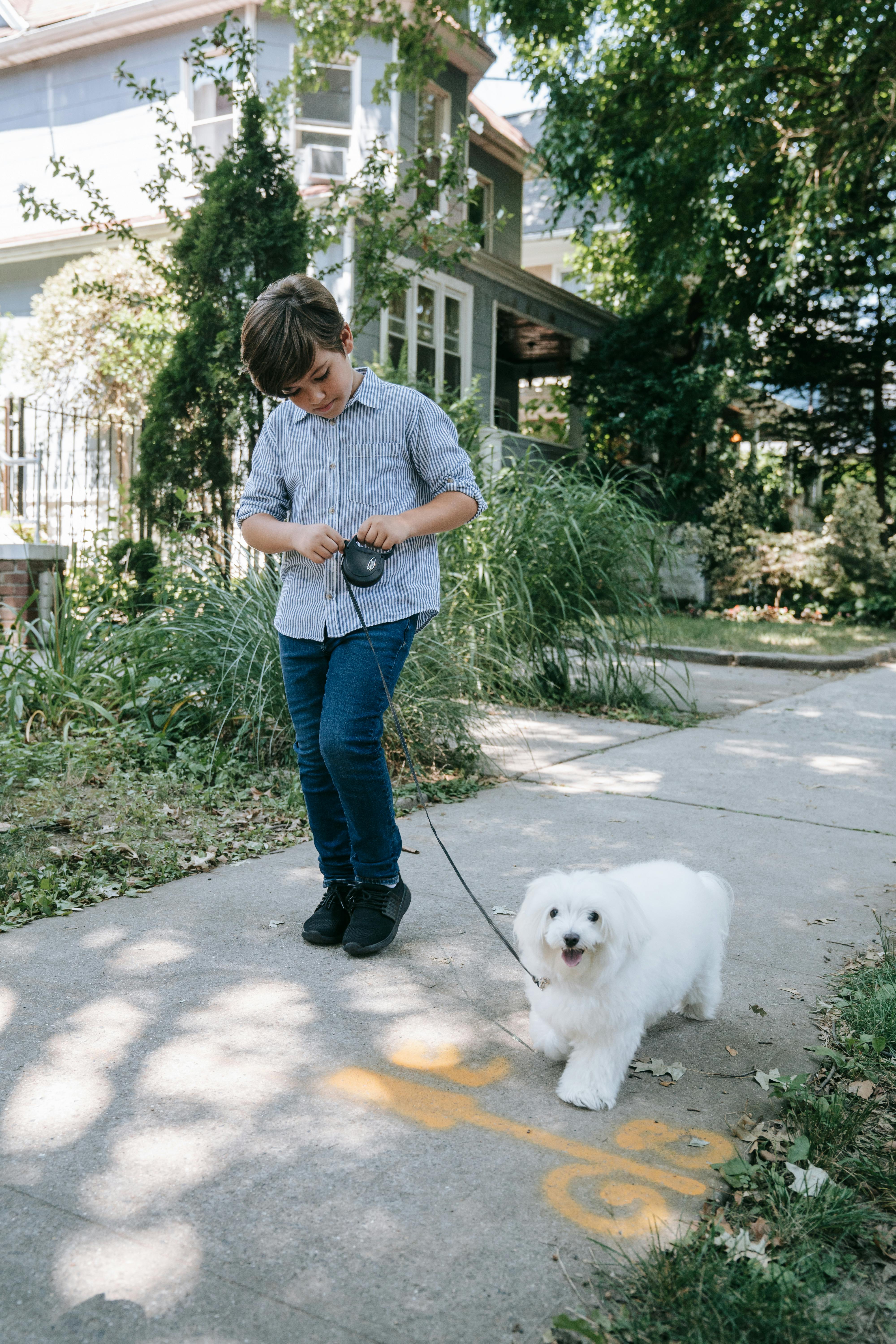 Boy Walking a Dog · Free Stock Photo