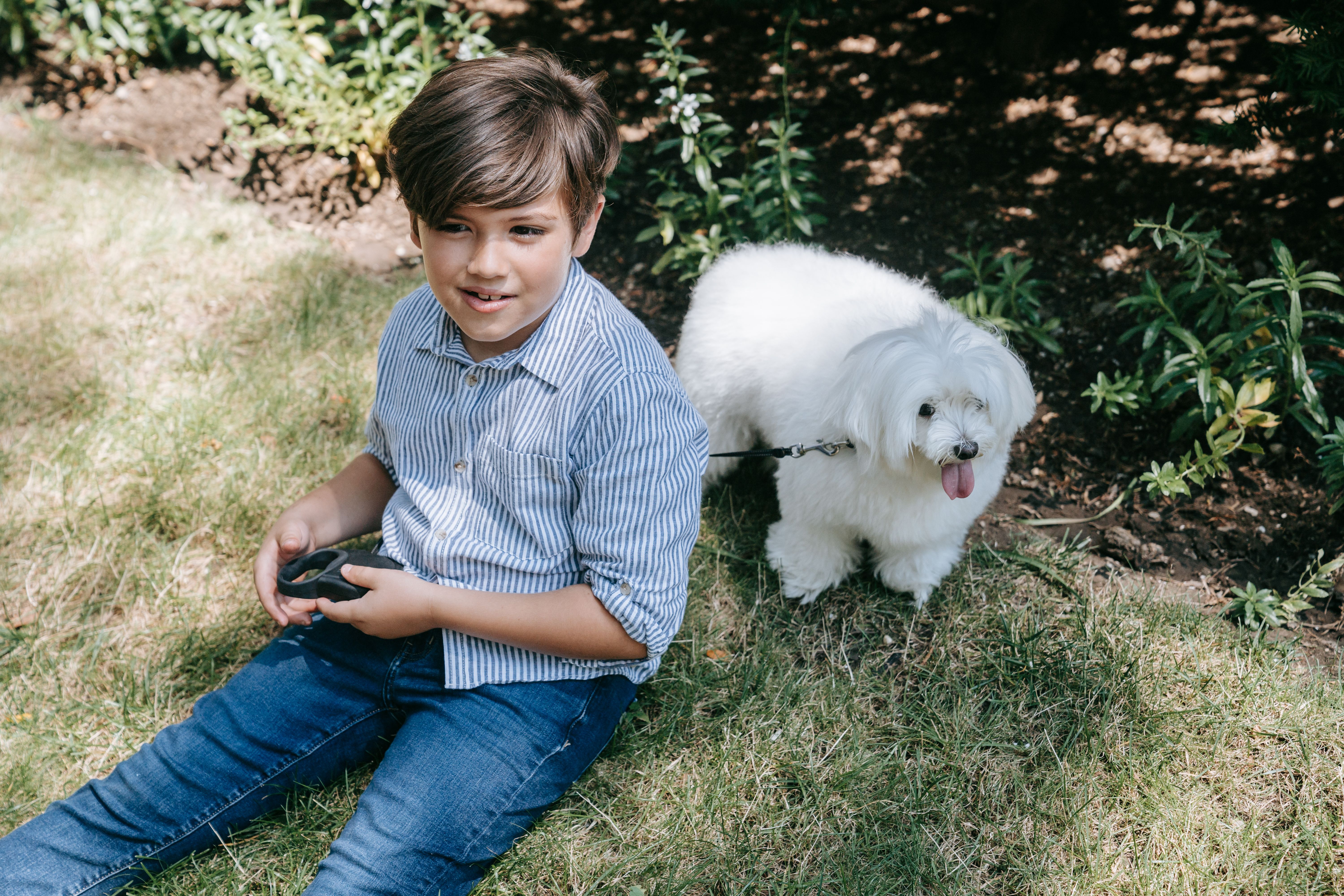 Boy Sitting on Green Grass with White Dog · Free Stock Photo