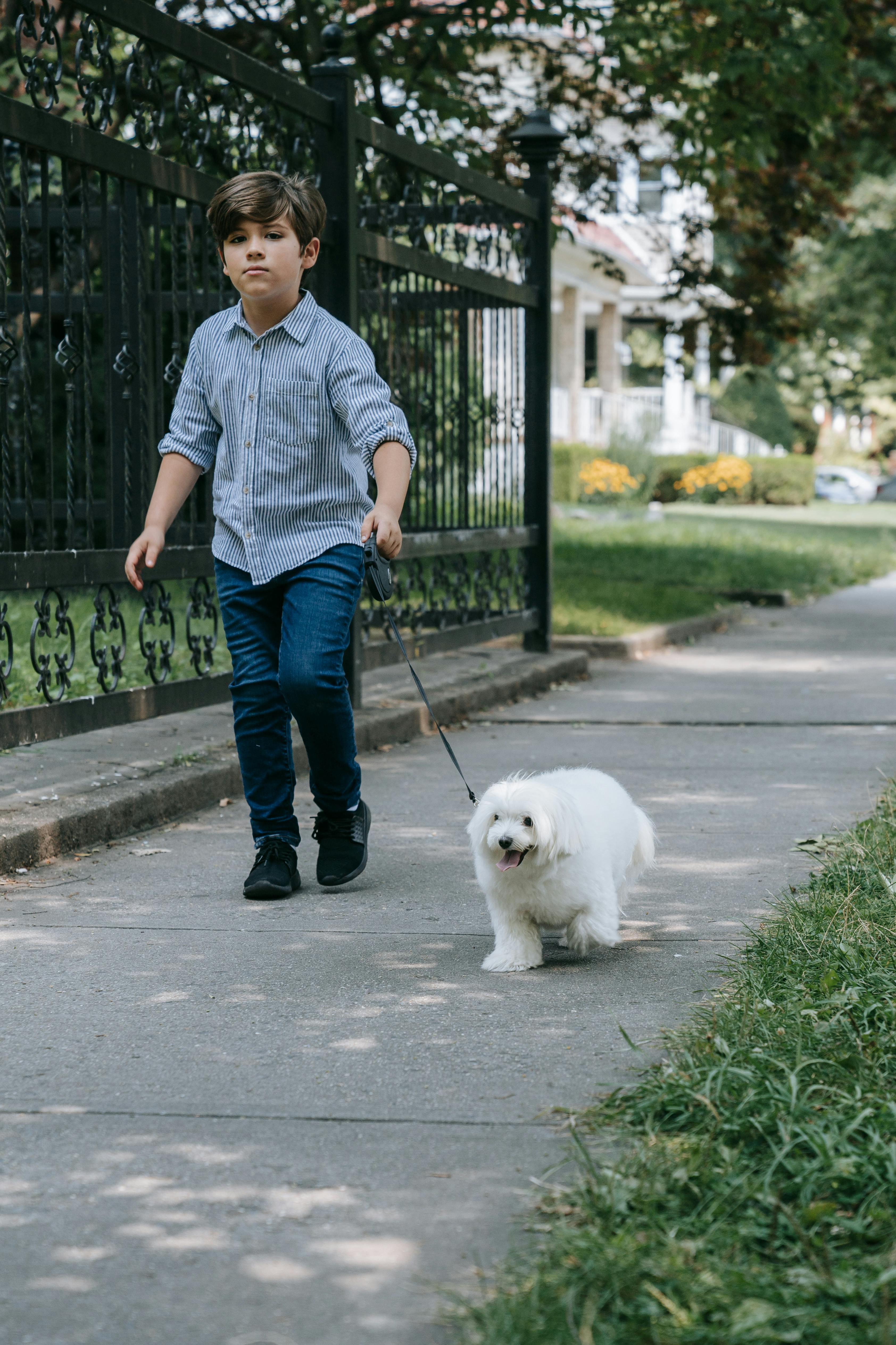 Boy Walking With His Pet Dog · Free Stock Photo