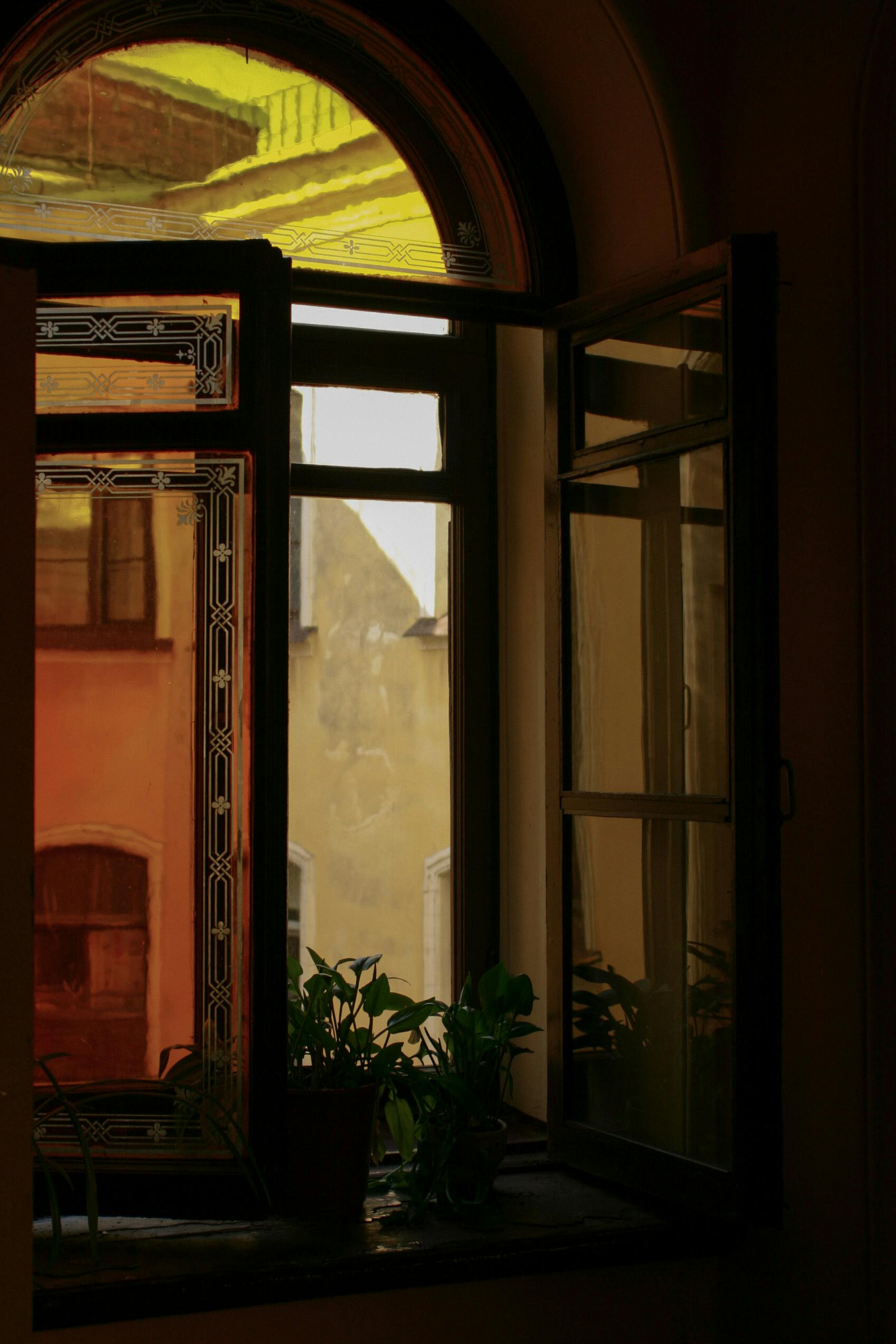 Potted Plants over the Window Sill · Free Stock Photo