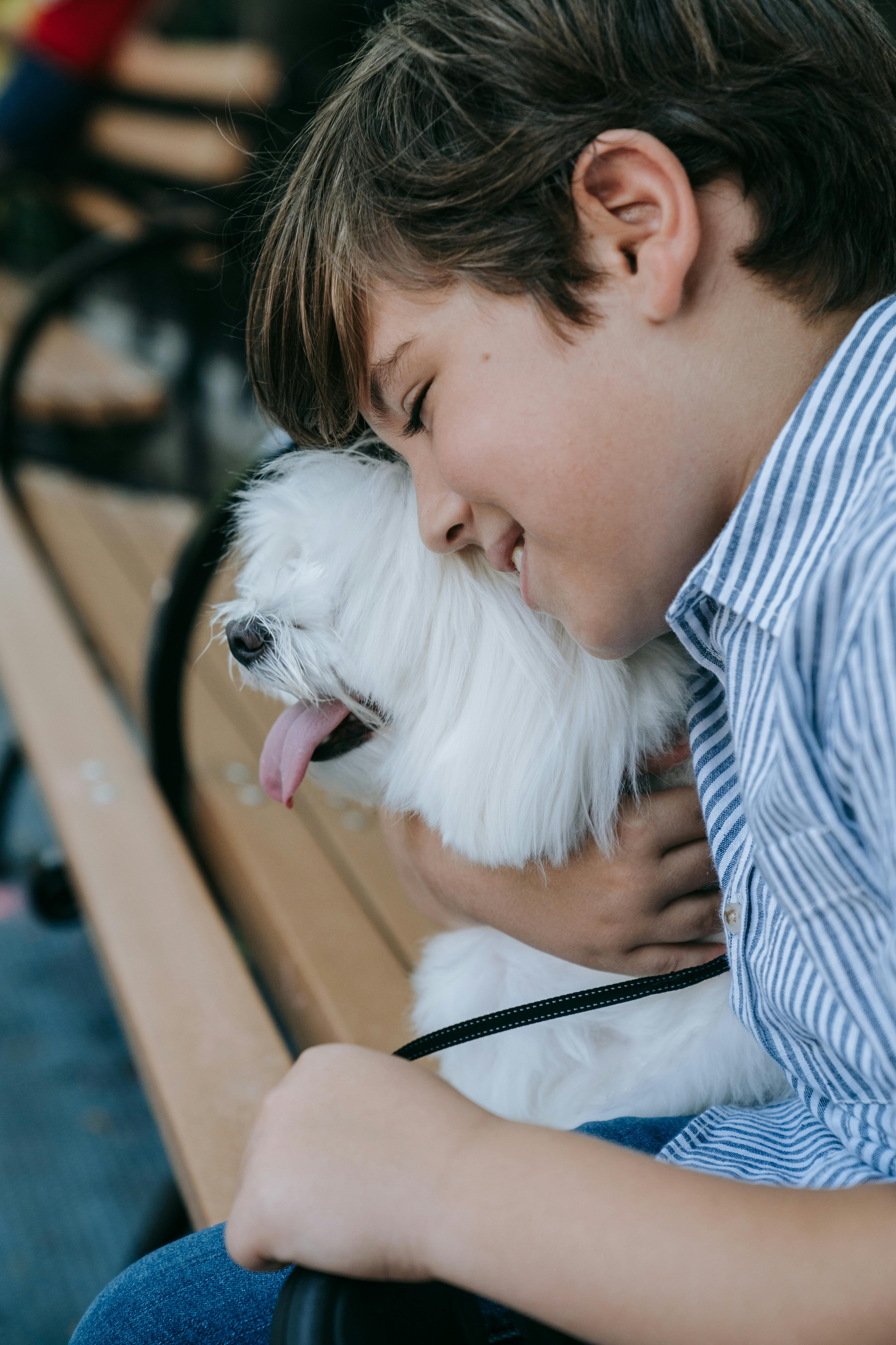 Boy in White and Blue Striped Shirt Cuddling a White Long Coat Dog ...
