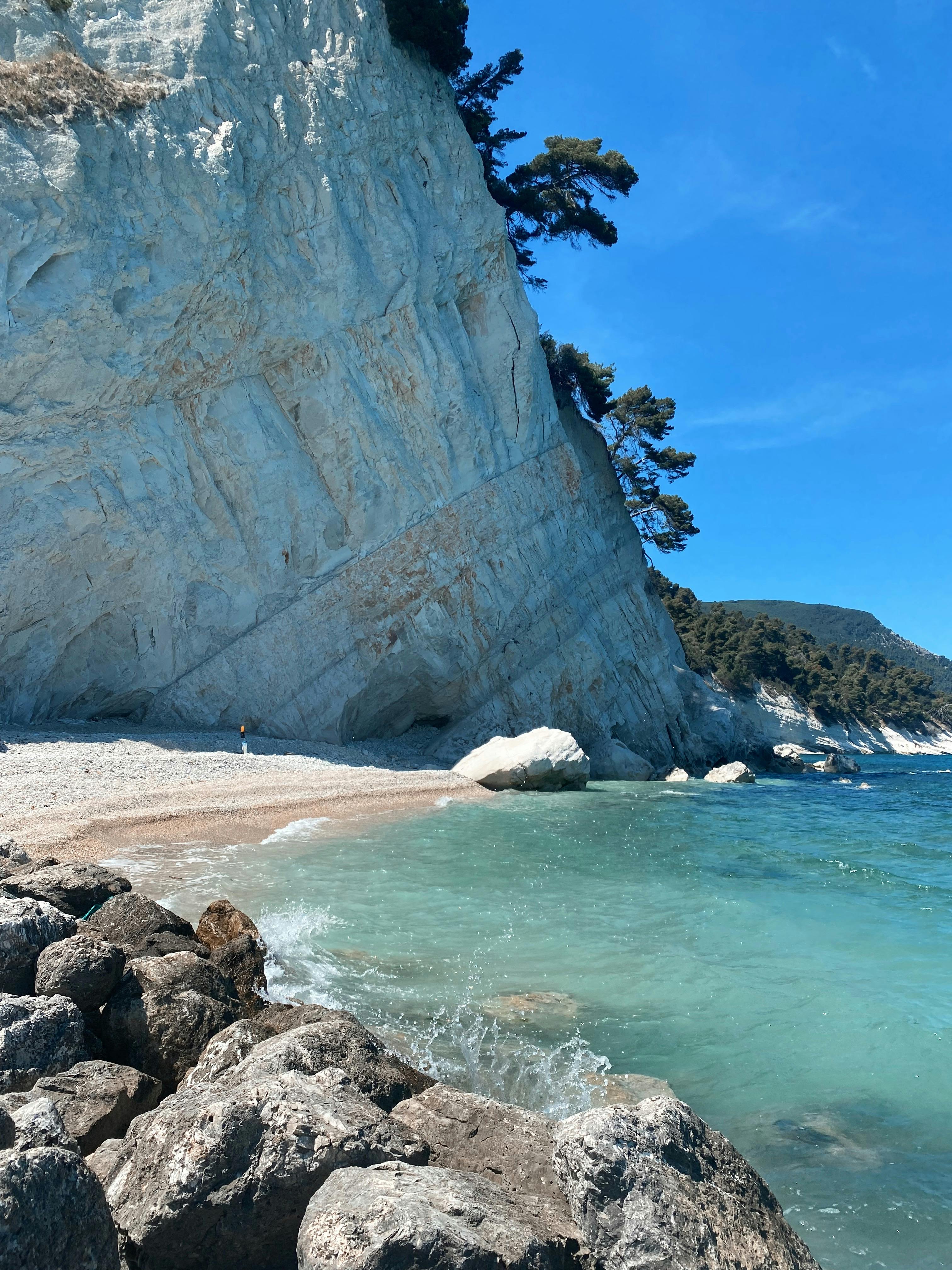 Ocean Shore through Leaves · Free Stock Photo