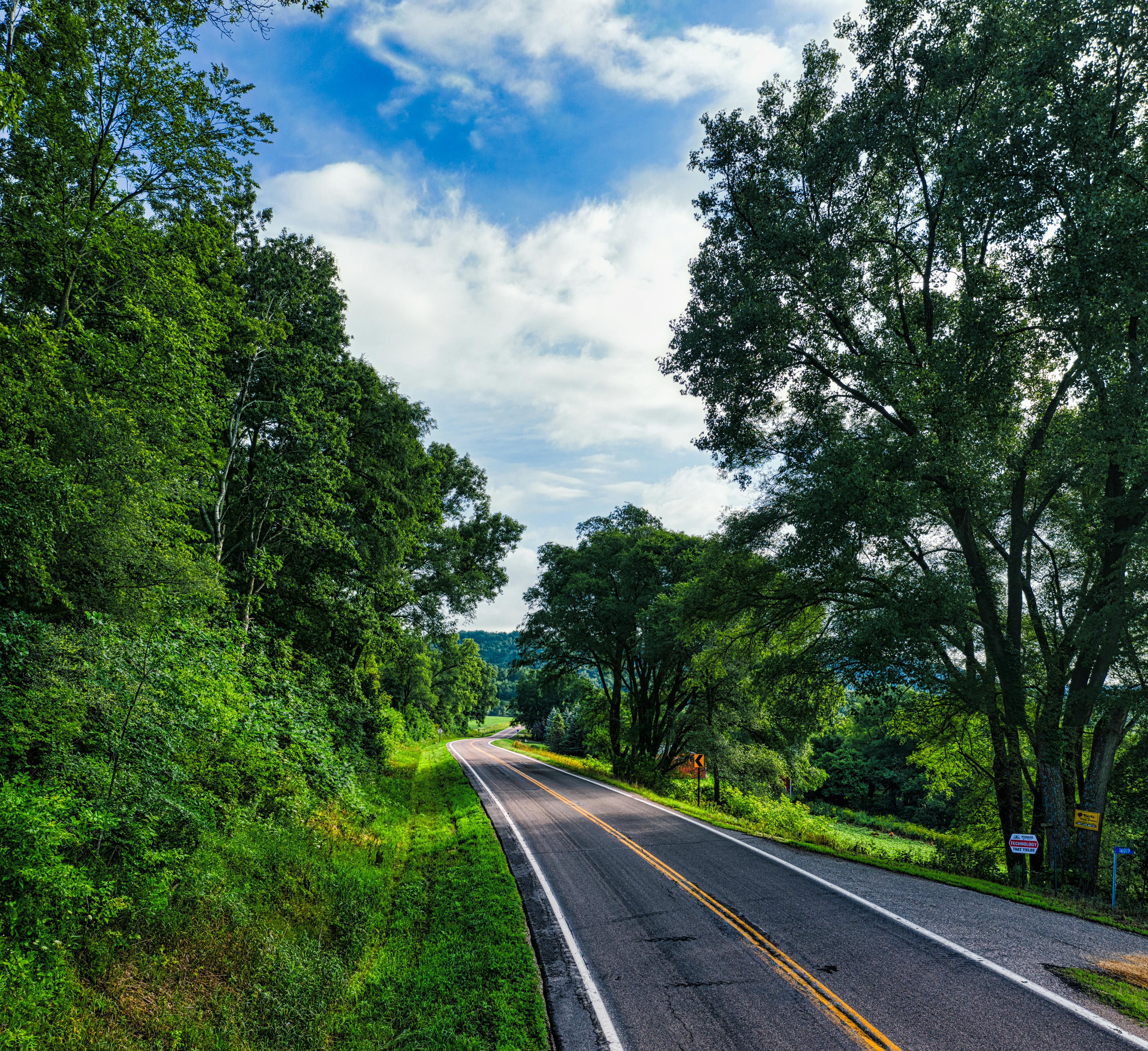 Bare Tree Near Road · Free Stock Photo
