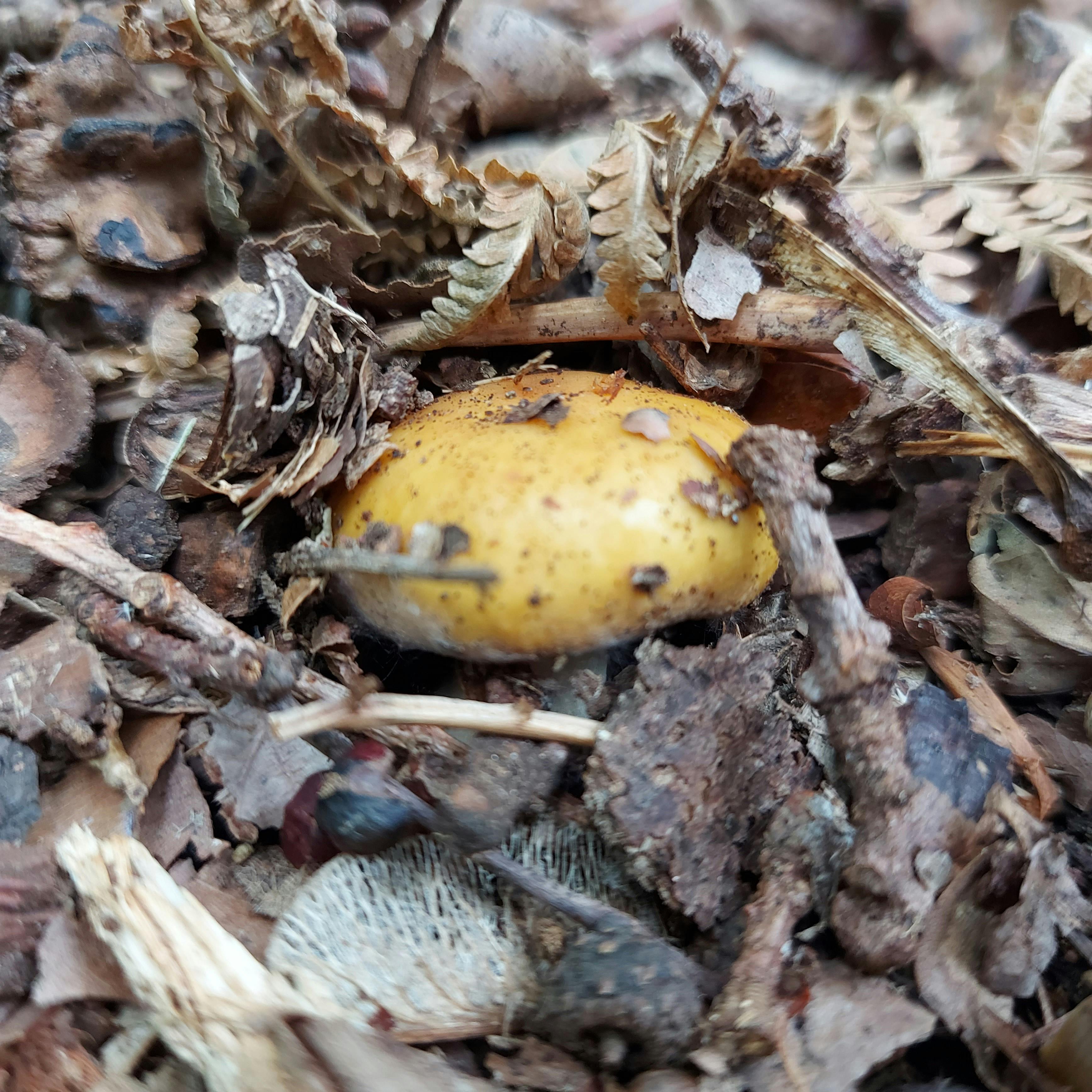 Stefan Robinson - Photography