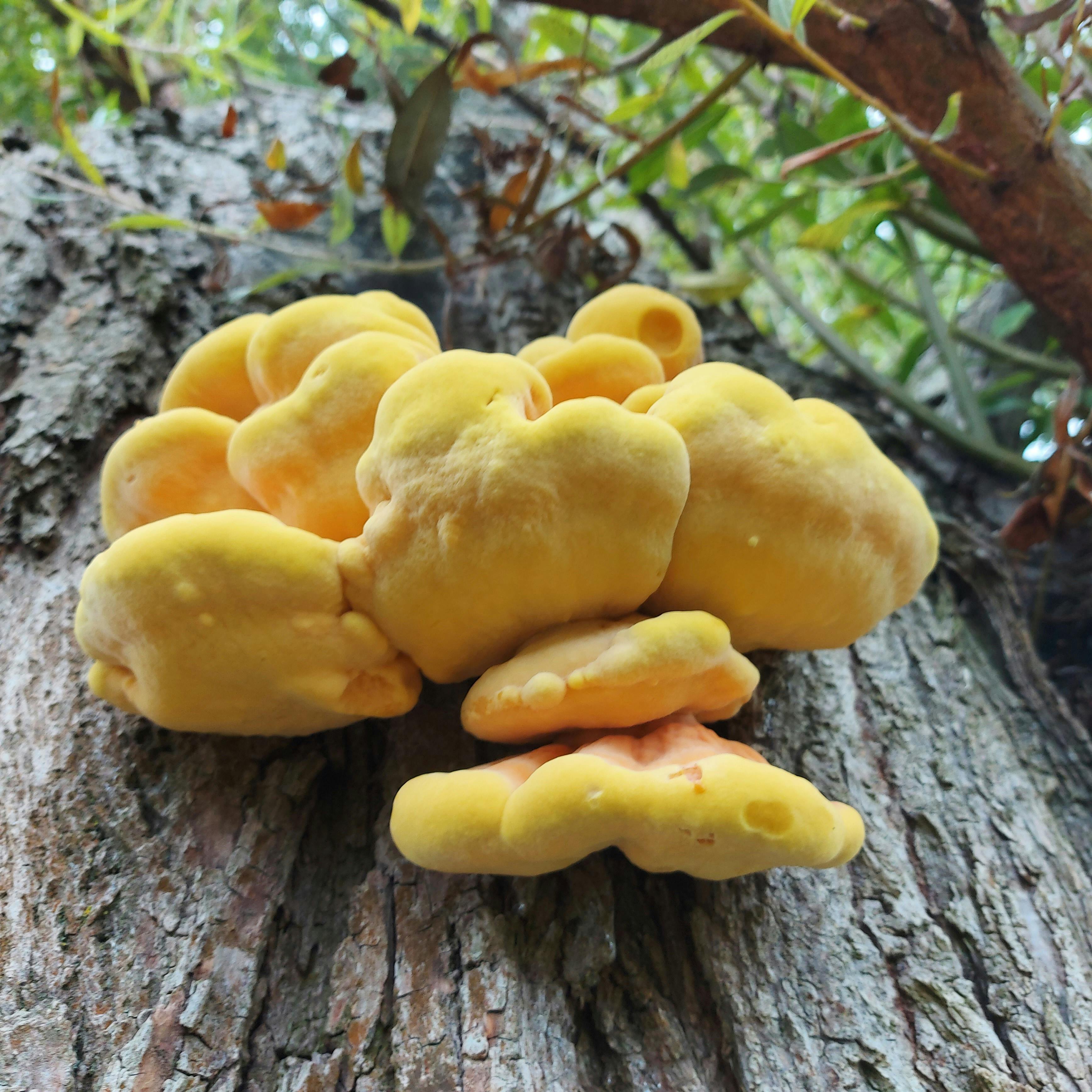 Stefan Robinson - Photography