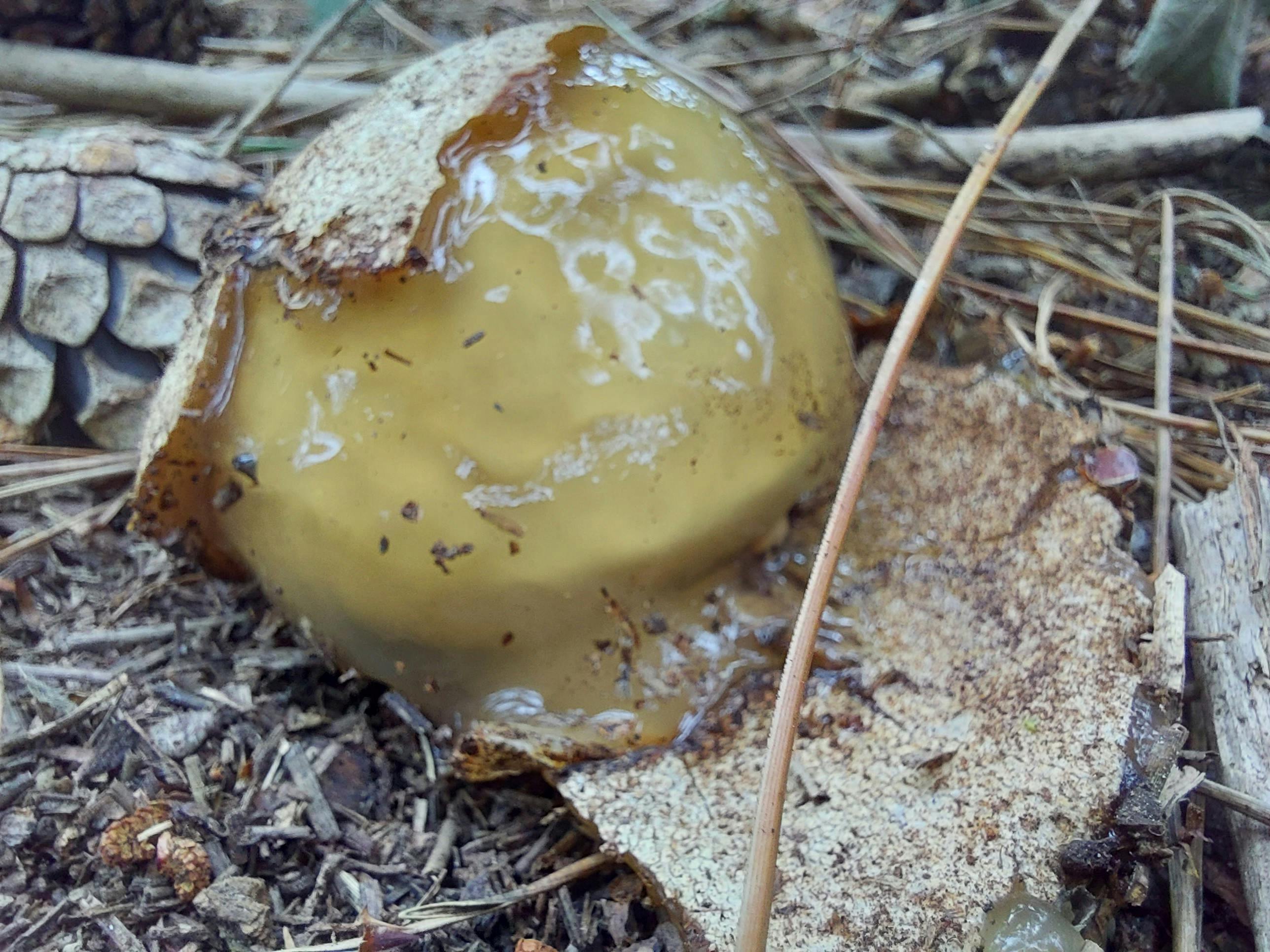 Stefan Robinson - Photography