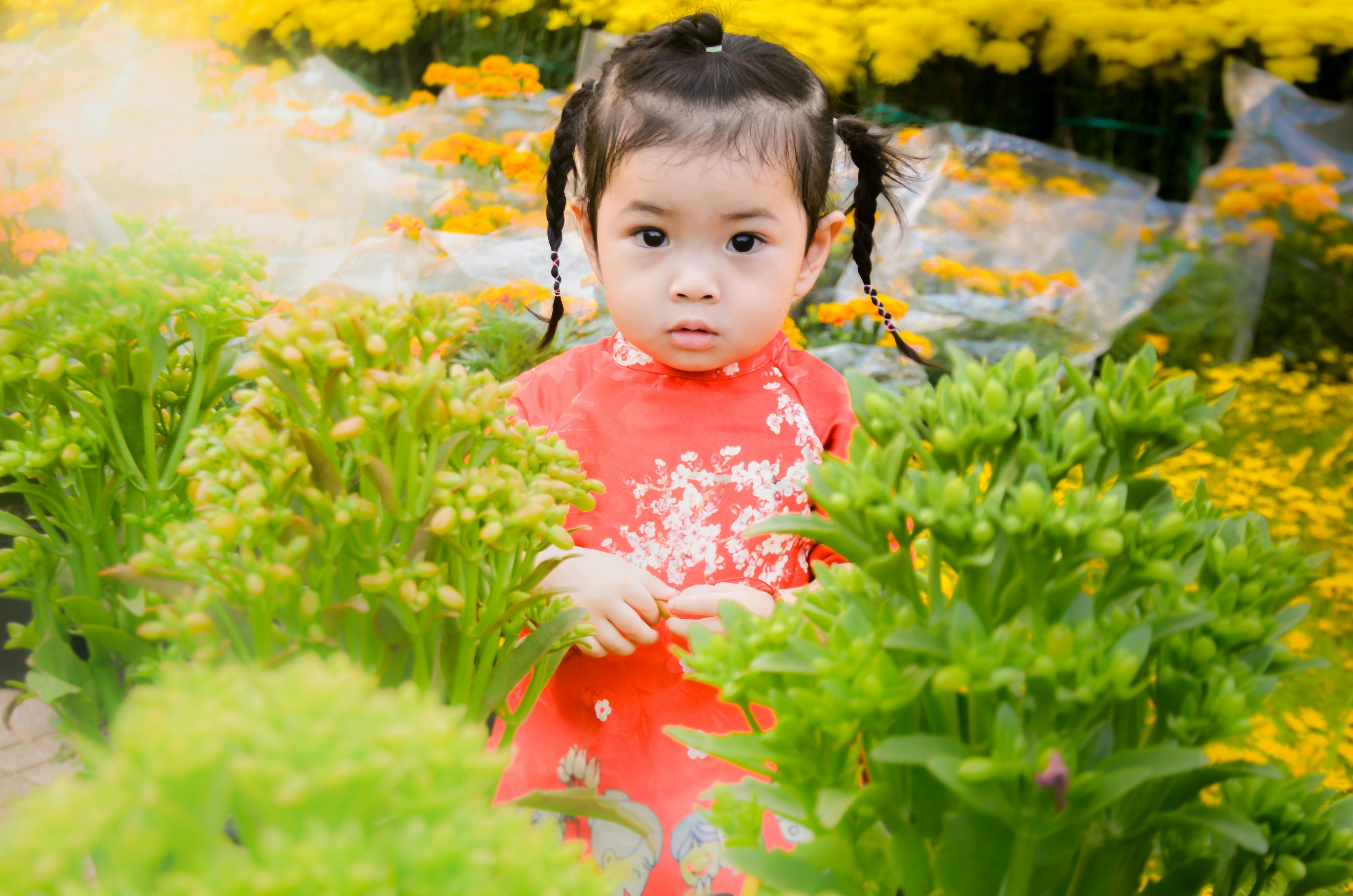 Free stock photo of baby, beautiful flowers, children