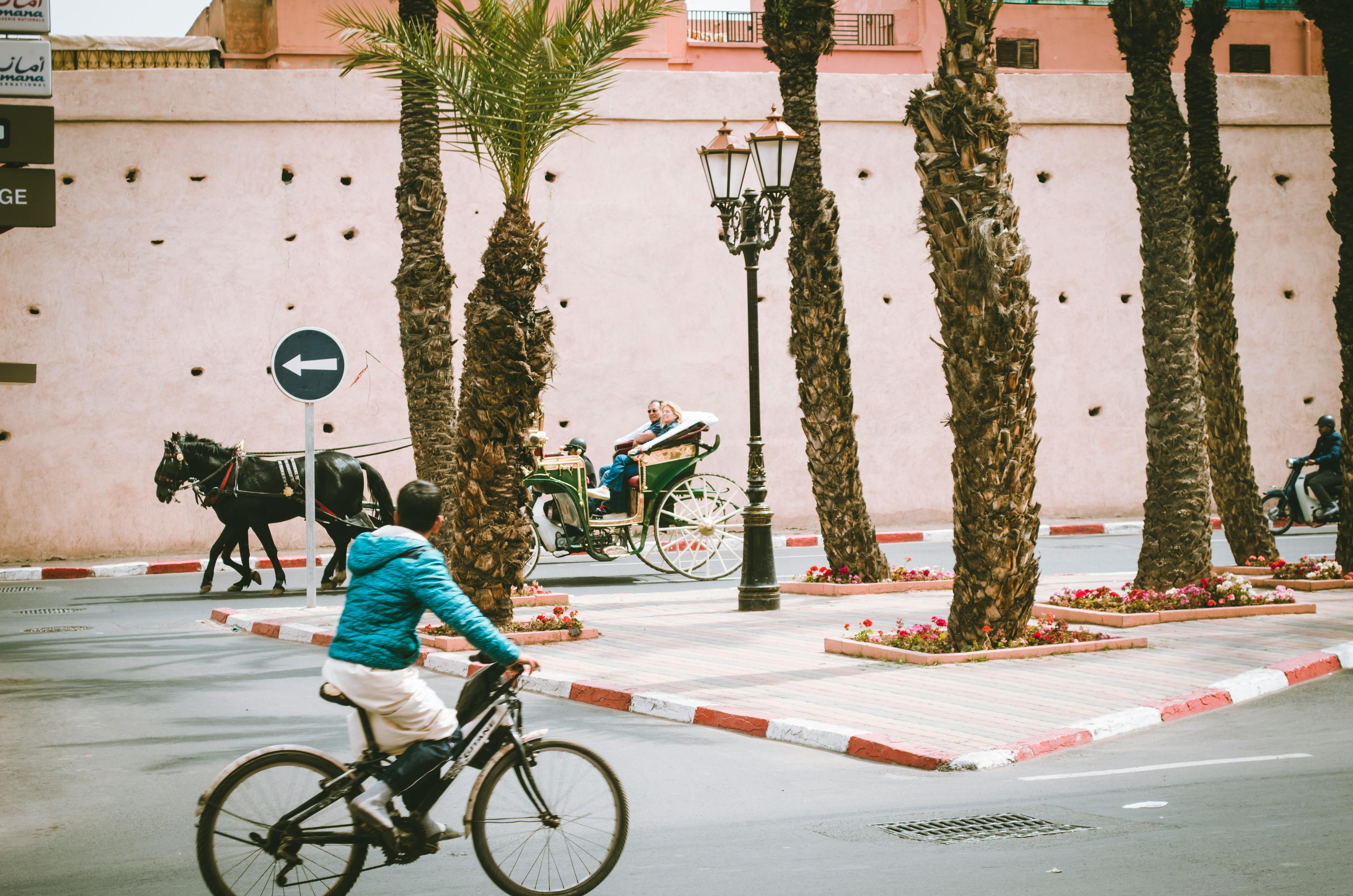 Blue Jacket · Free Stock Photo