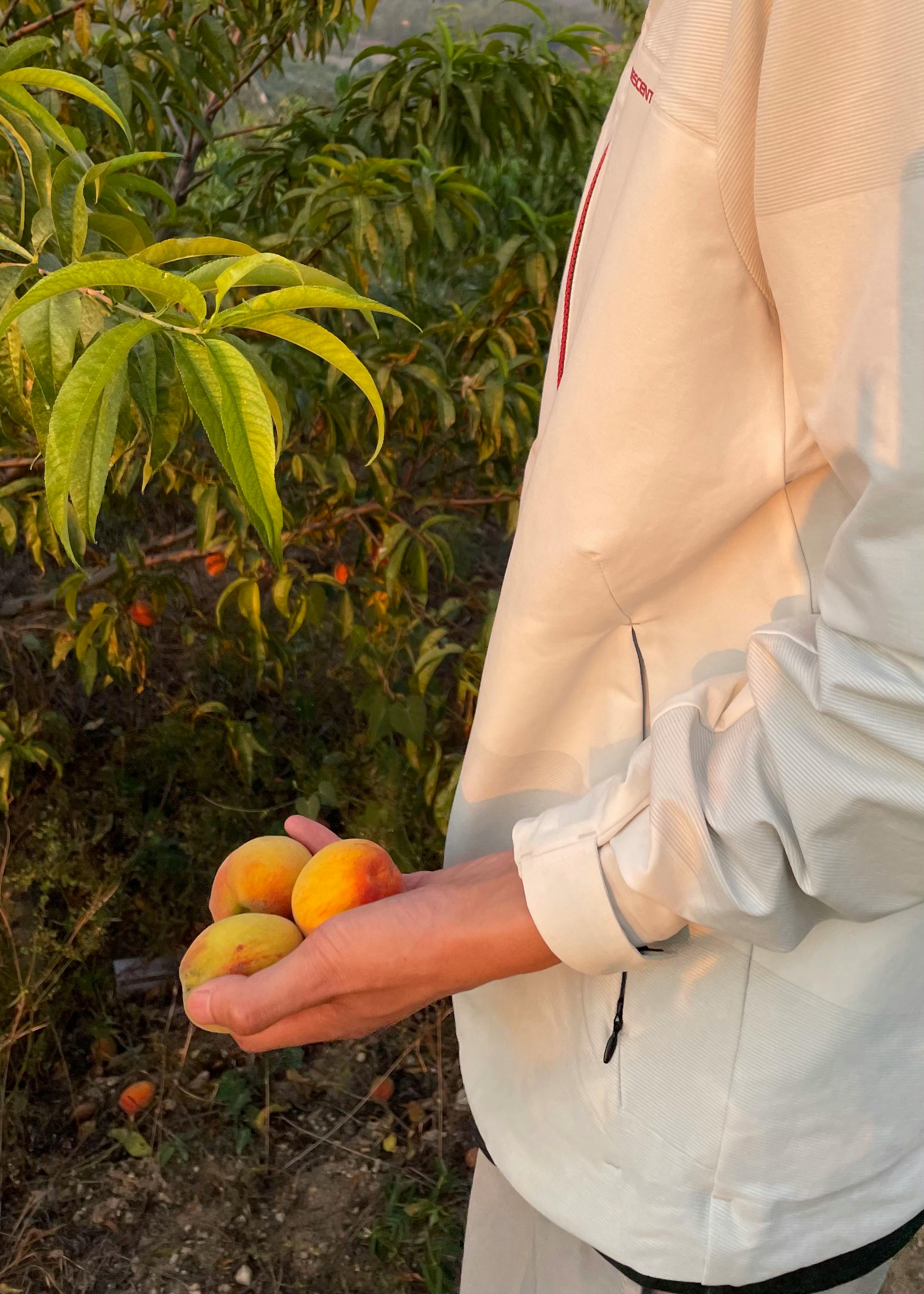 Person Sitting on Bed Holding Fresh Peach · Free Stock Photo