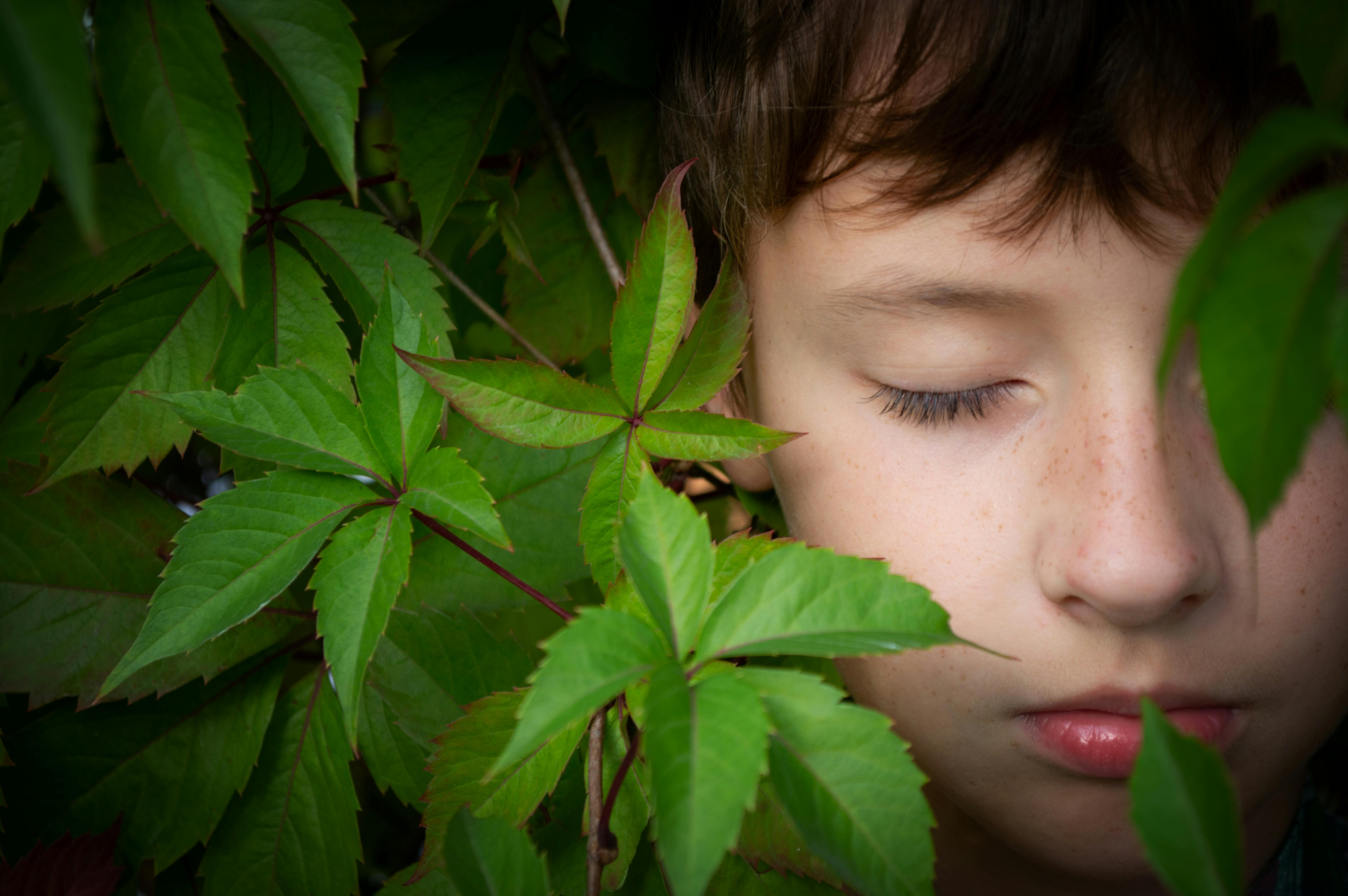 Child with Green Leaves Near Face · Free Stock Photo