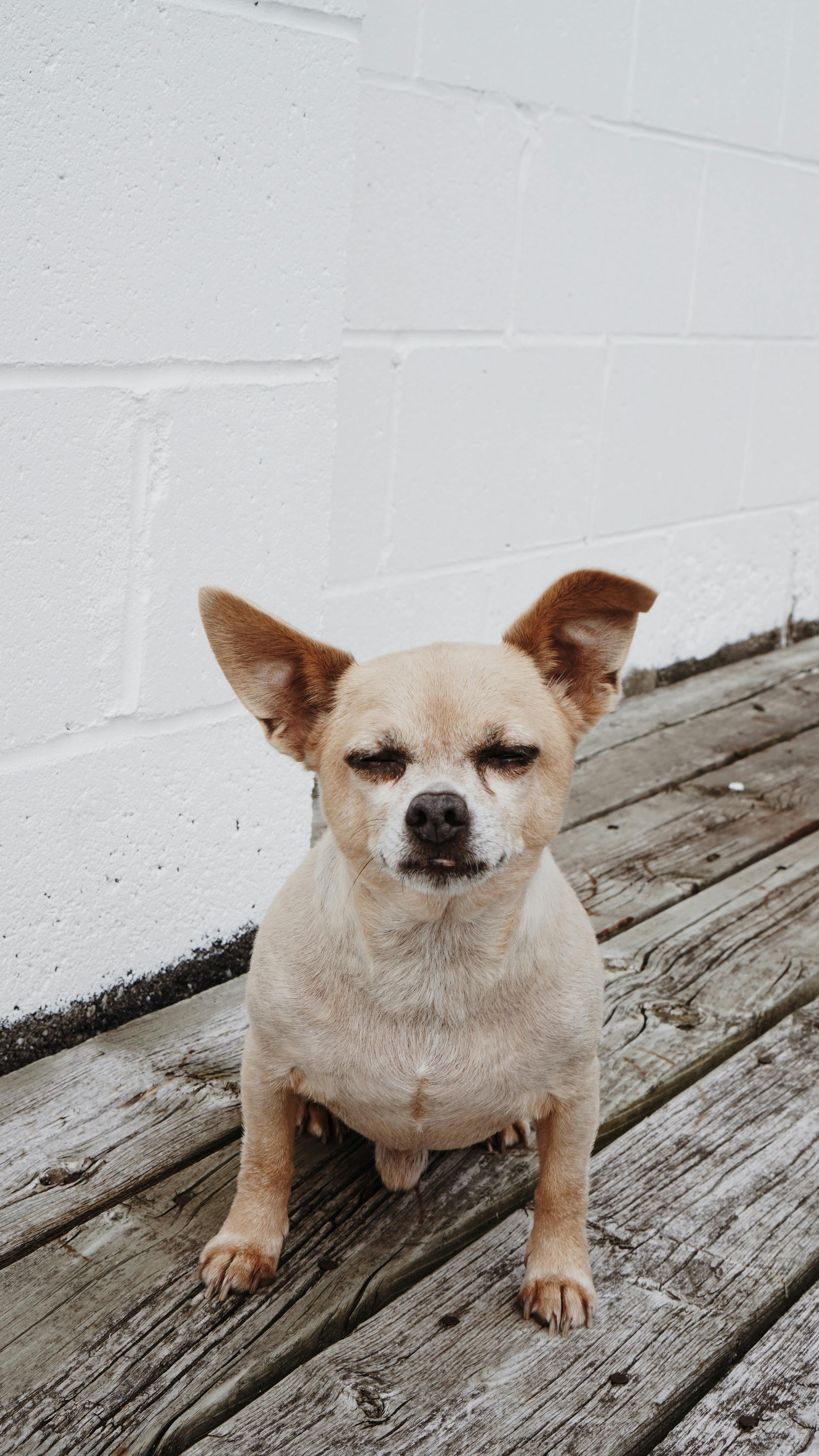 Sarah li - Photography