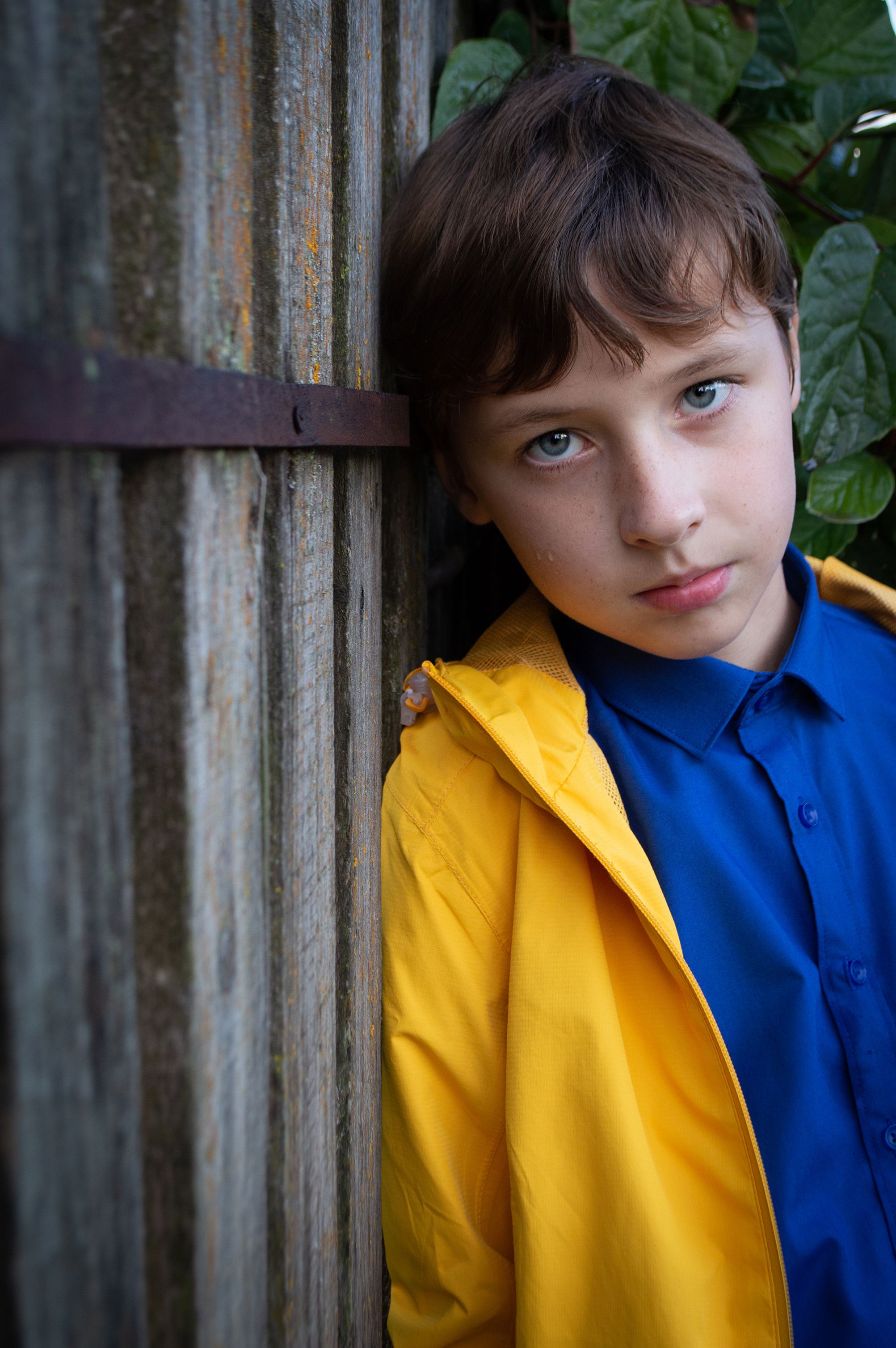 Embarrassed Boy in Polo Shirt · Free Stock Photo