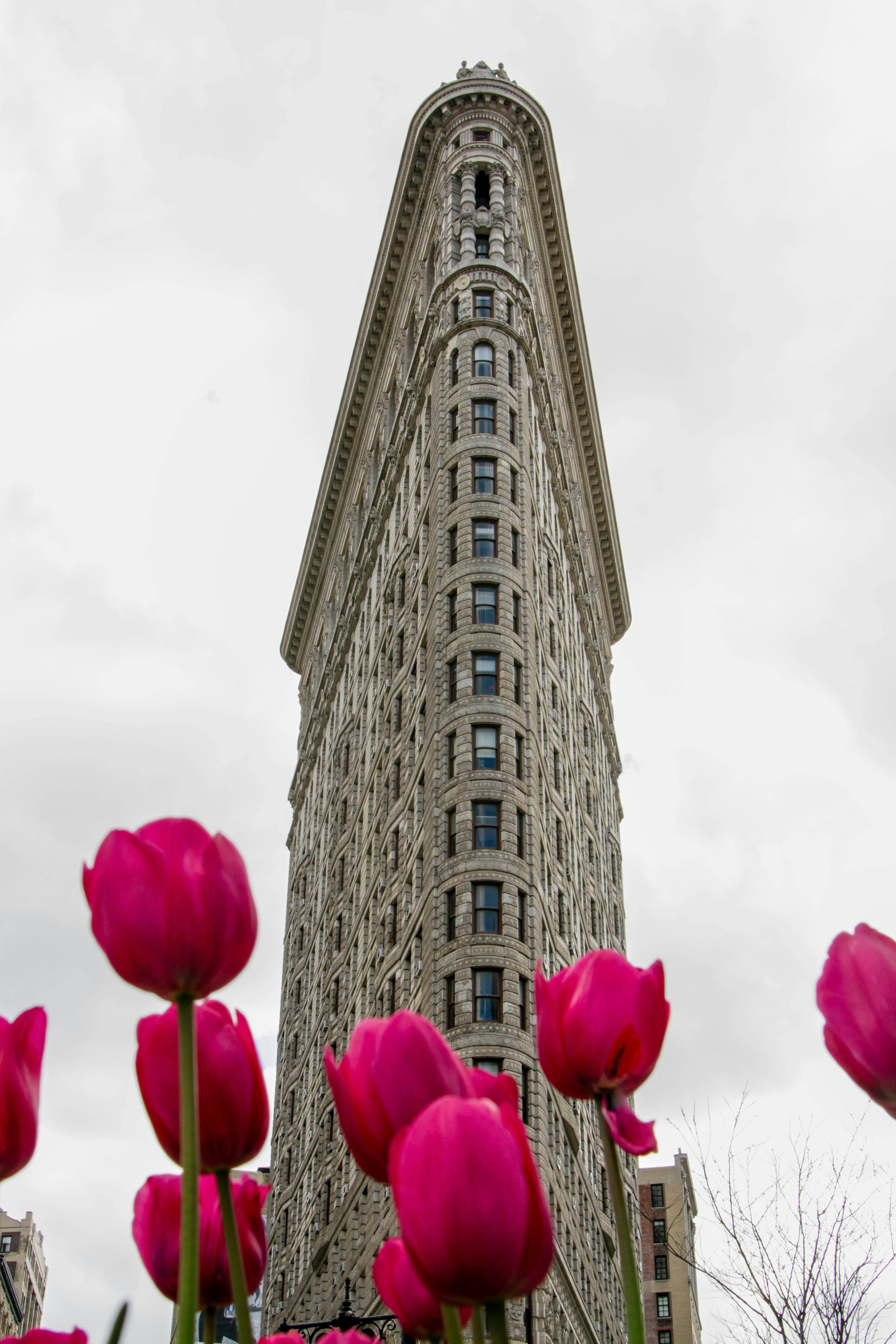 Low-Angle Photography of High-Rise Buildings · Free Stock Photo