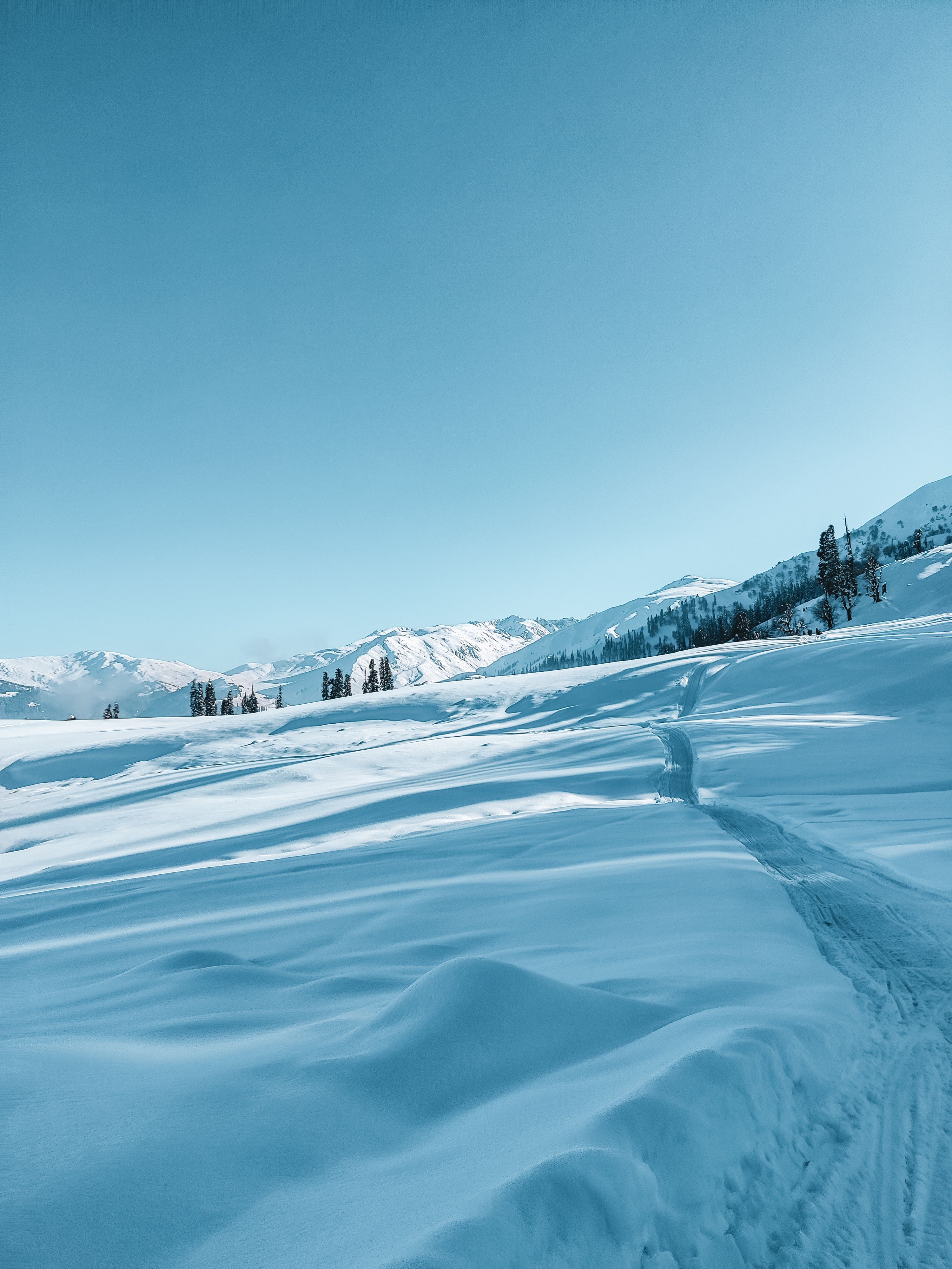 A Snow-Covered Field · Free Stock Photo