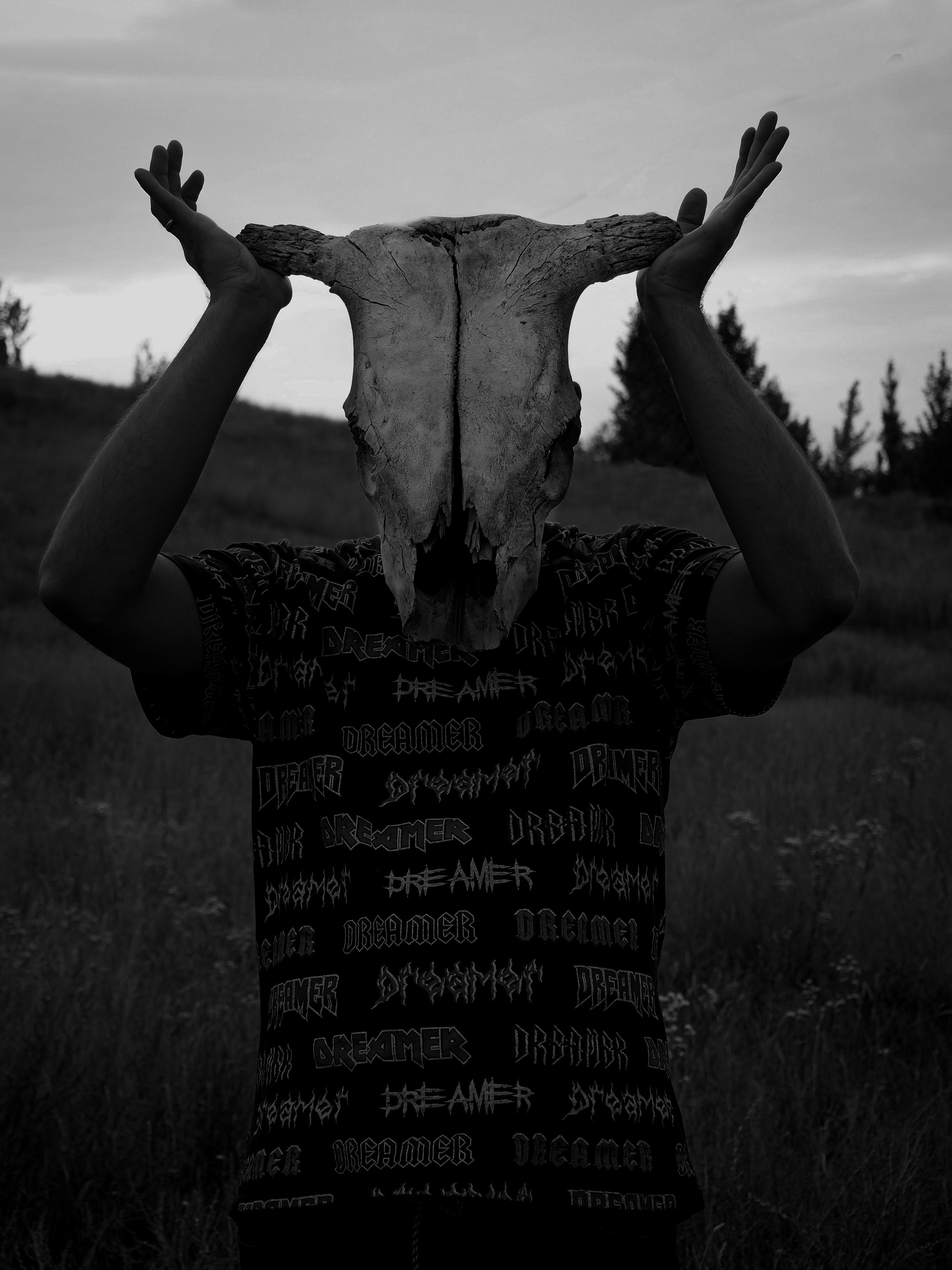 Headless Animals Photos, Download The BEST Free Headless Animals Stock ...