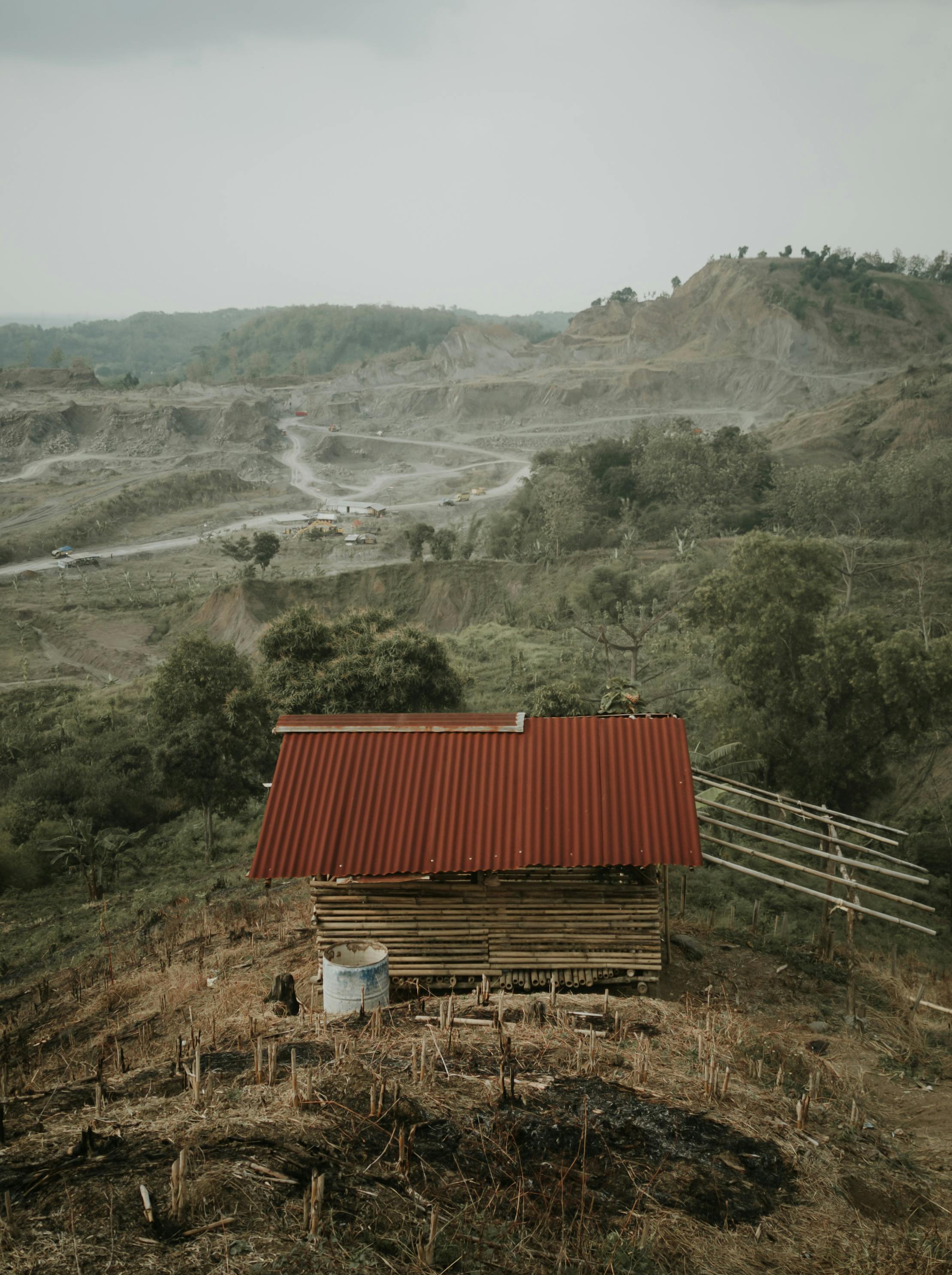 Kanha Shanti Vanam Photos, Download The BEST Free Kanha Shanti Vanam ...