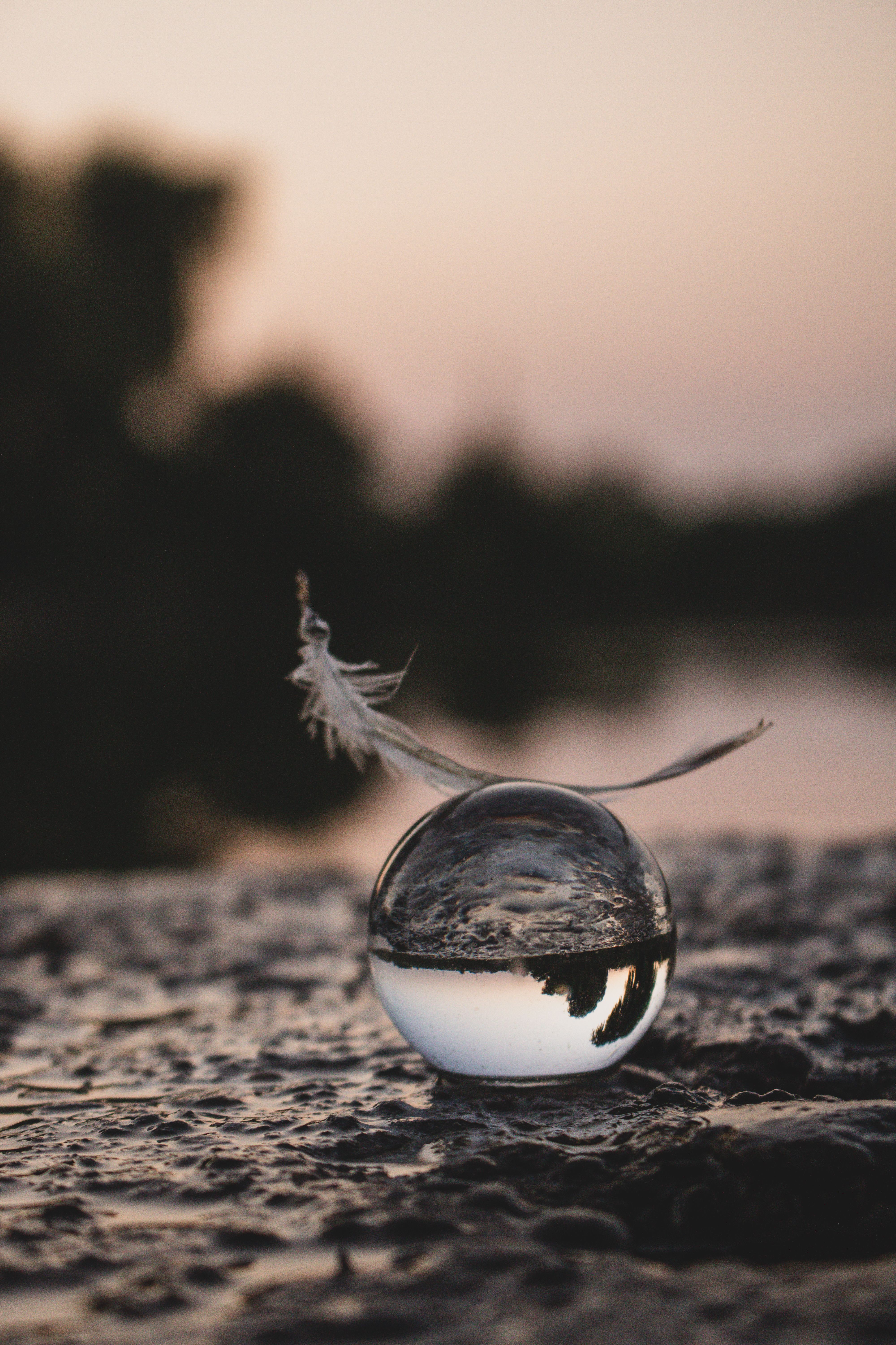 Close-Up Shot of a Ball on the Ground · Free Stock Photo