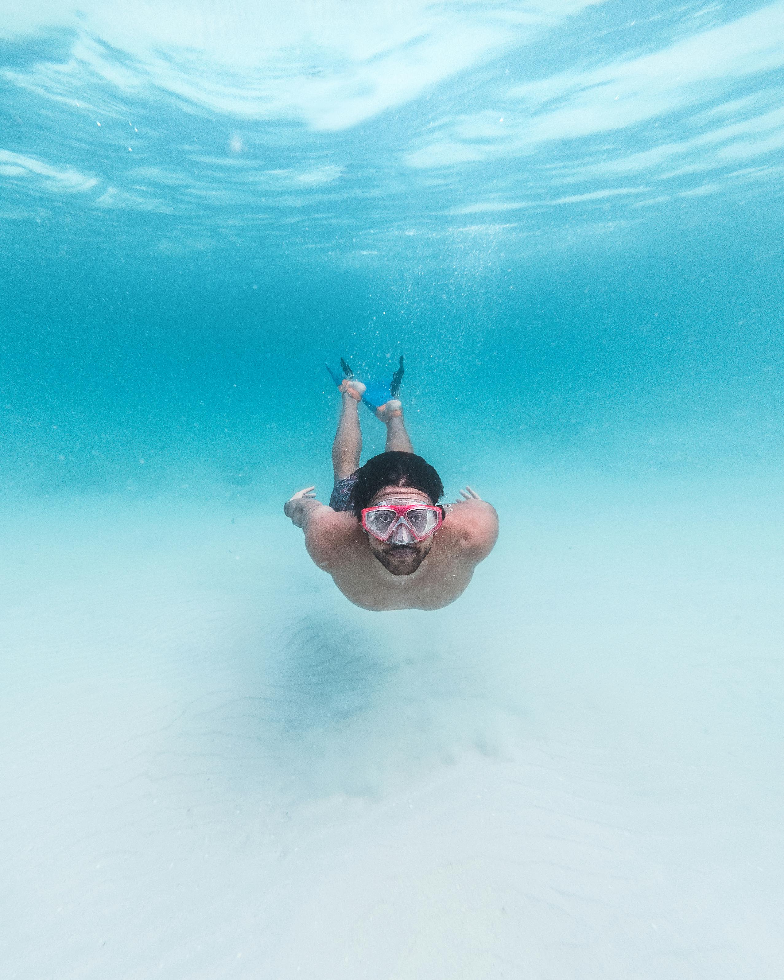 10,000+ Best Swimming Photos · 100% Free Download · Pexels Stock Photos