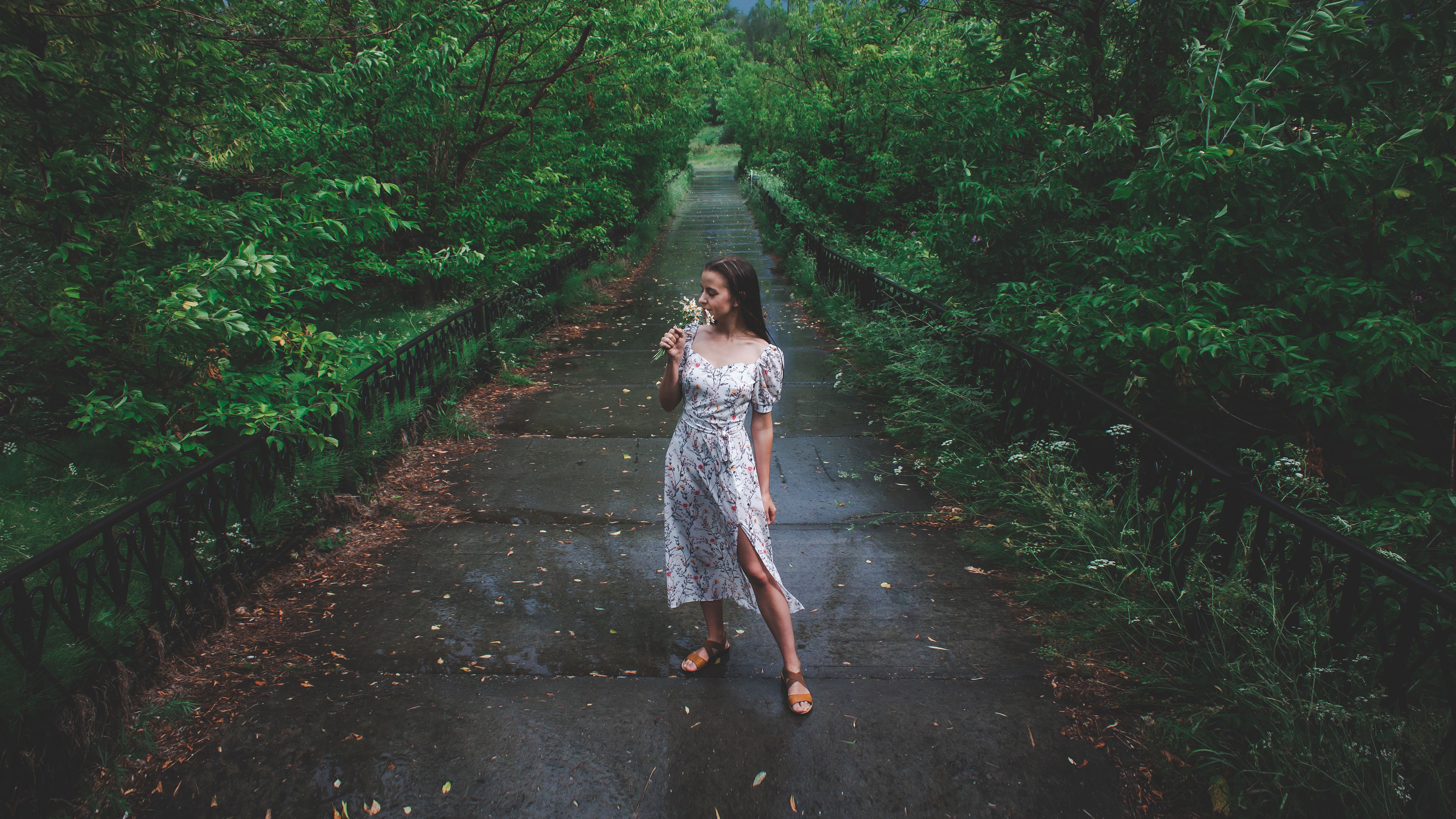 Person Walking On Pathway Near Trees · Free Stock Photo