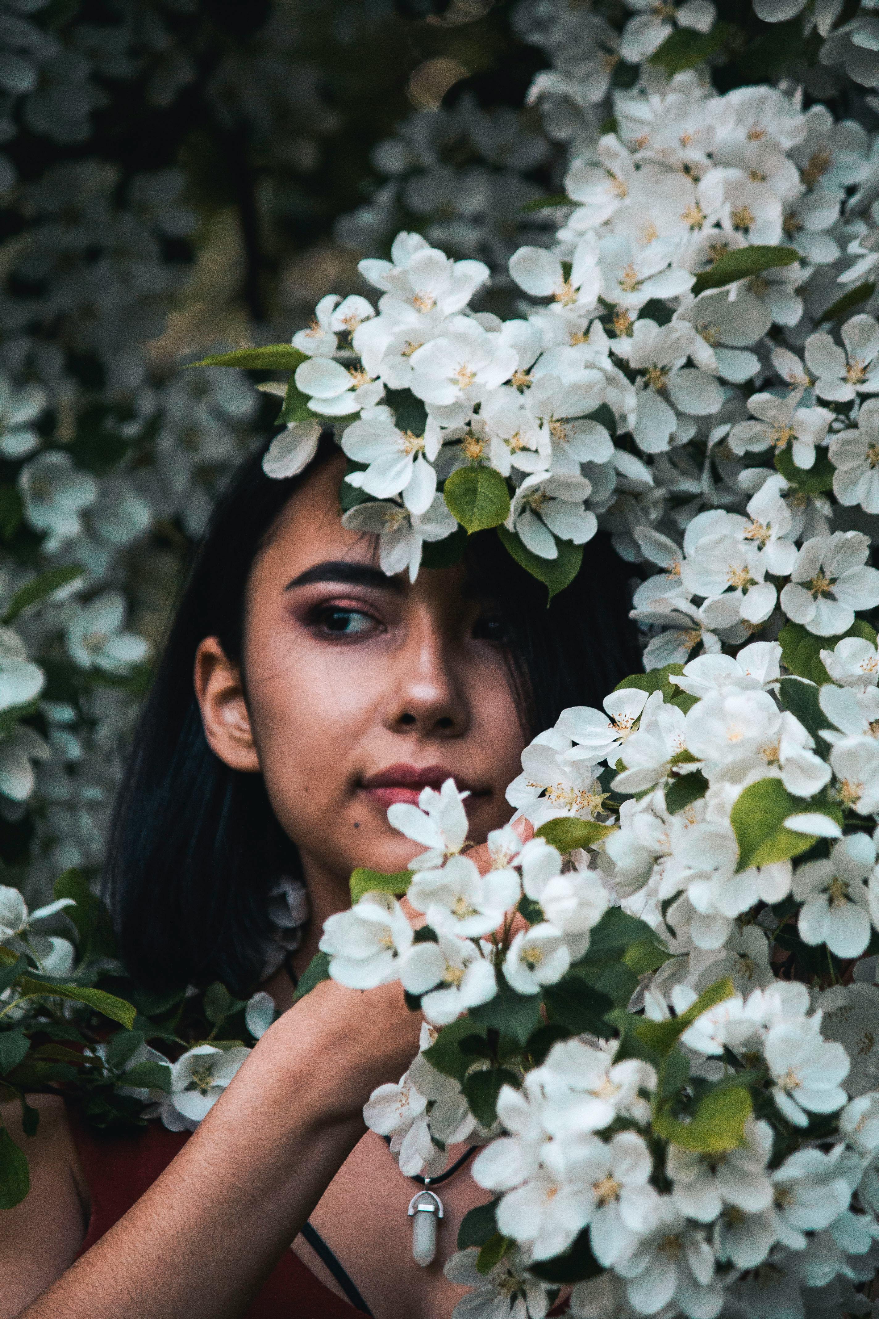 Growth For Visual Appealing Photos, Download The BEST Free Growth For ...