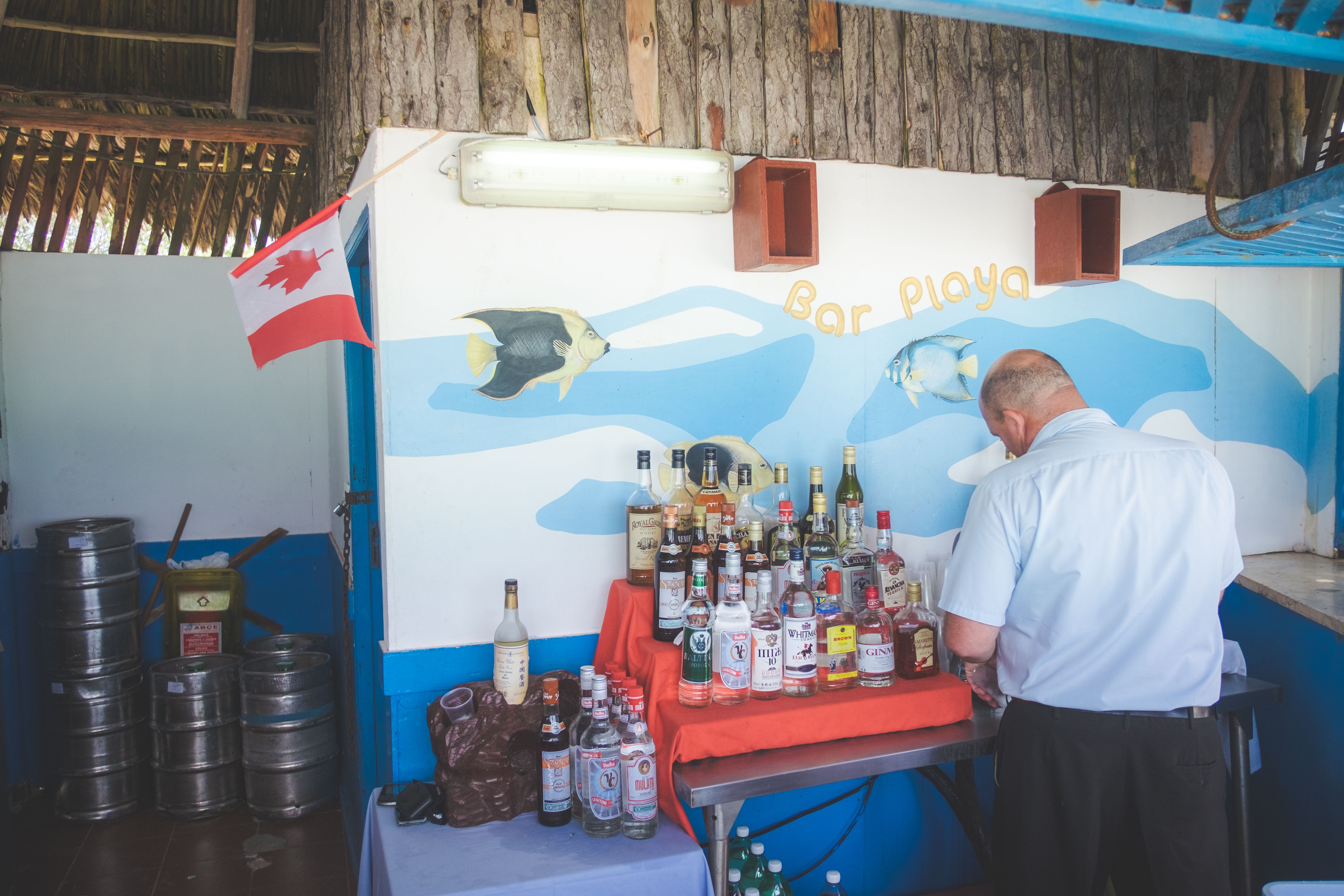 Man and Woman Walking Beside the Bar Counter · Free Stock Photo