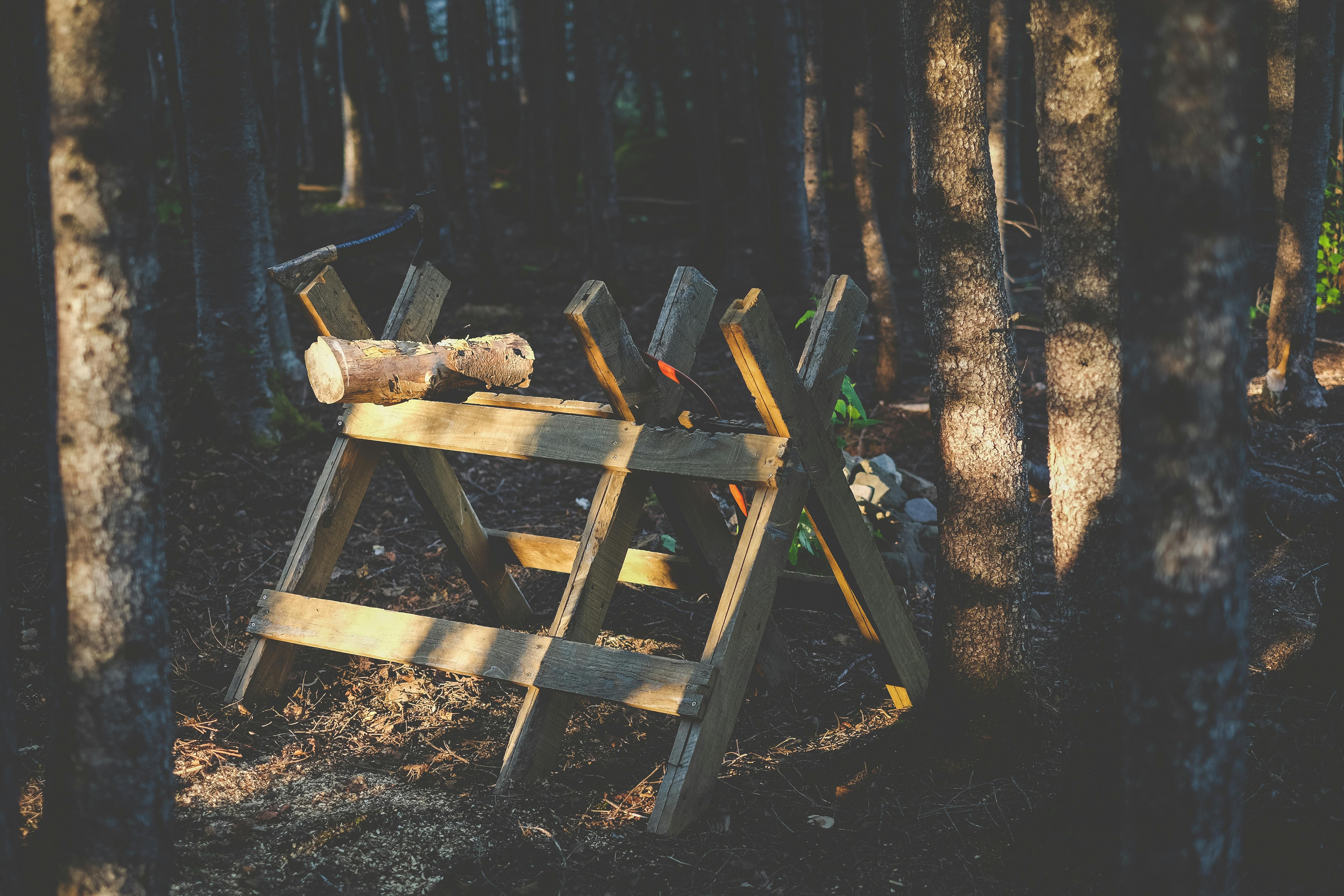 Wooden Stand in Forest · Free Stock Photo
