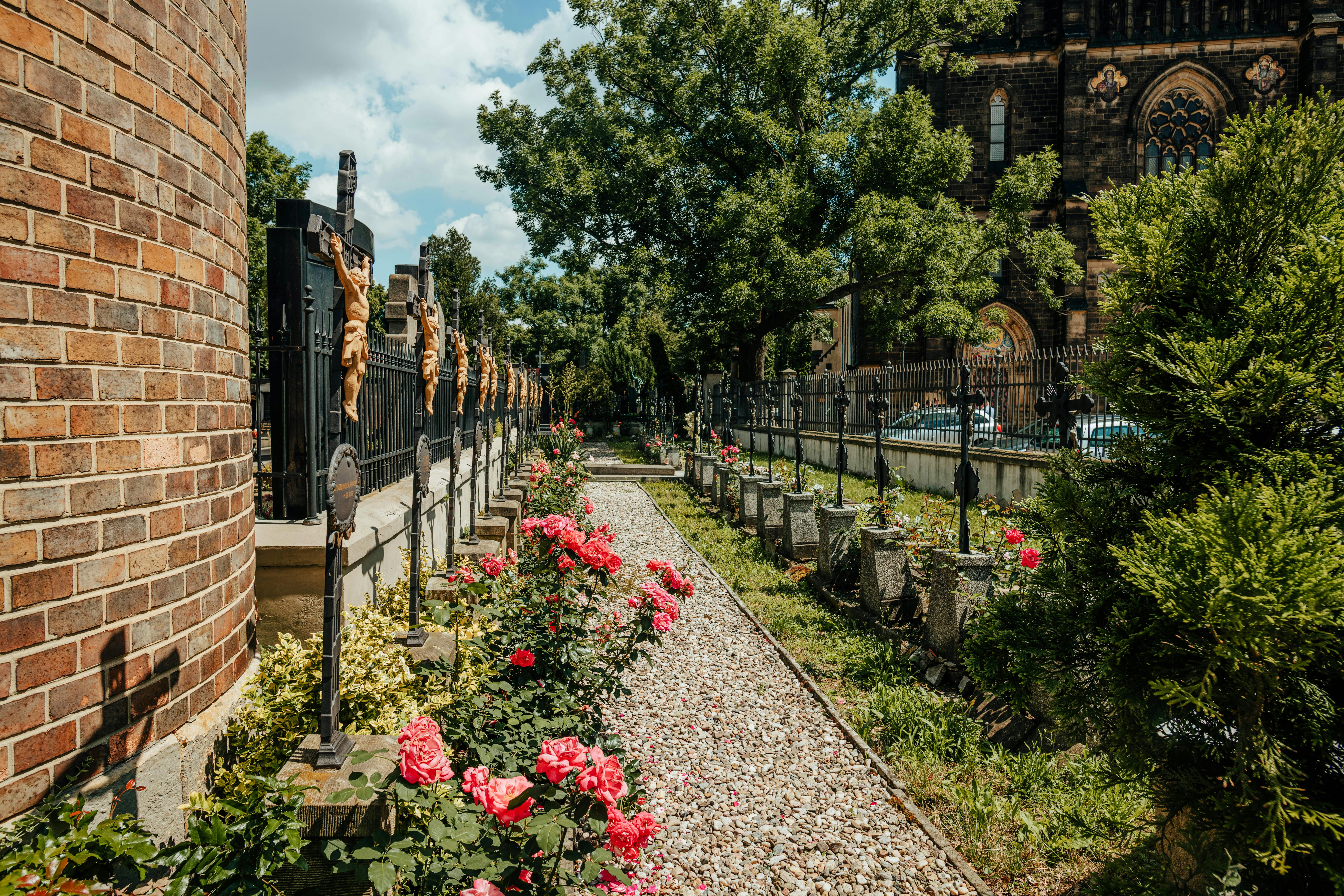 Pink Flowers in the Cemetery · Free Stock Photo