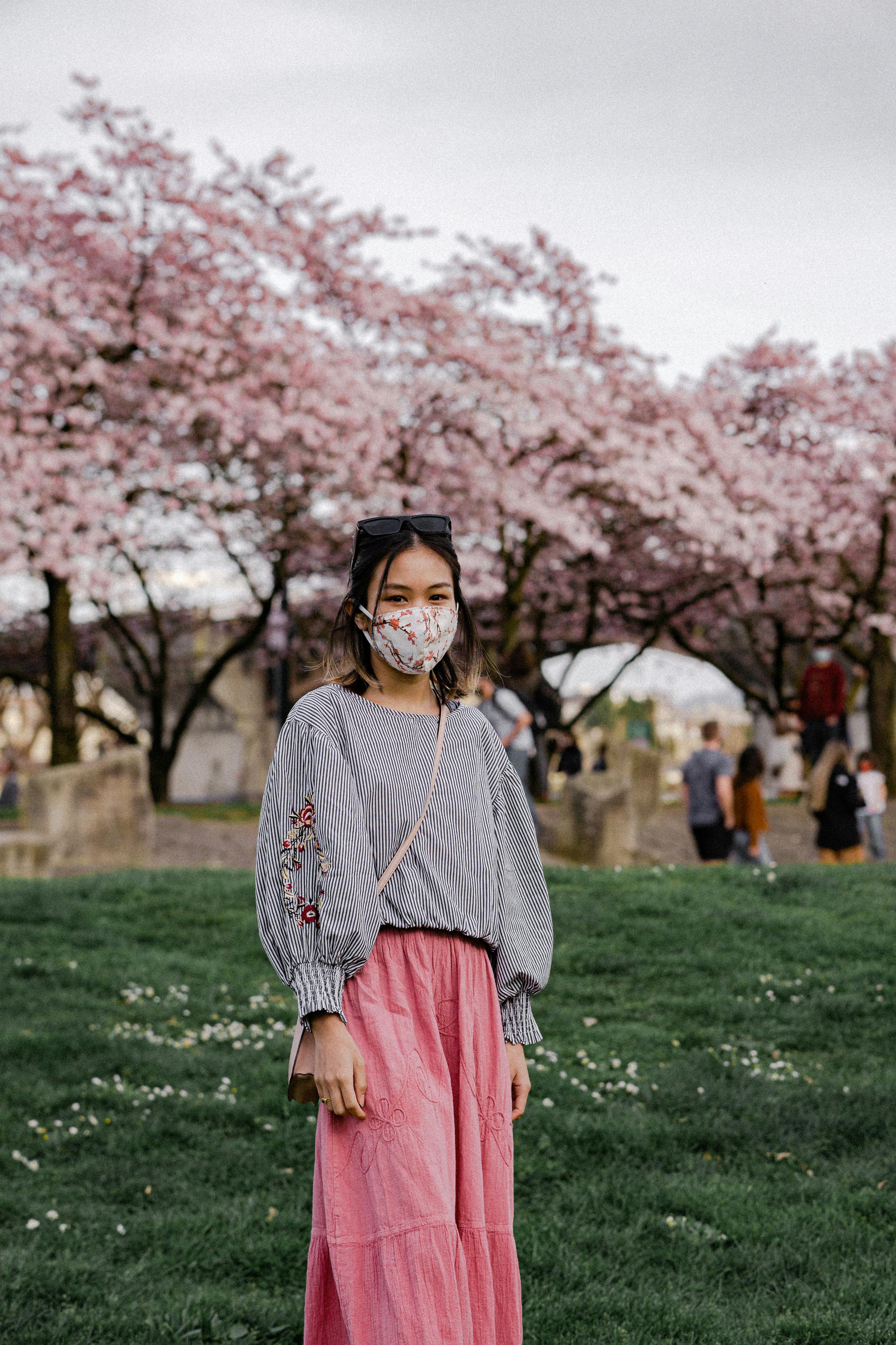 Zen Spring Photos, Download The BEST Free Zen Spring Stock Photos & HD ...