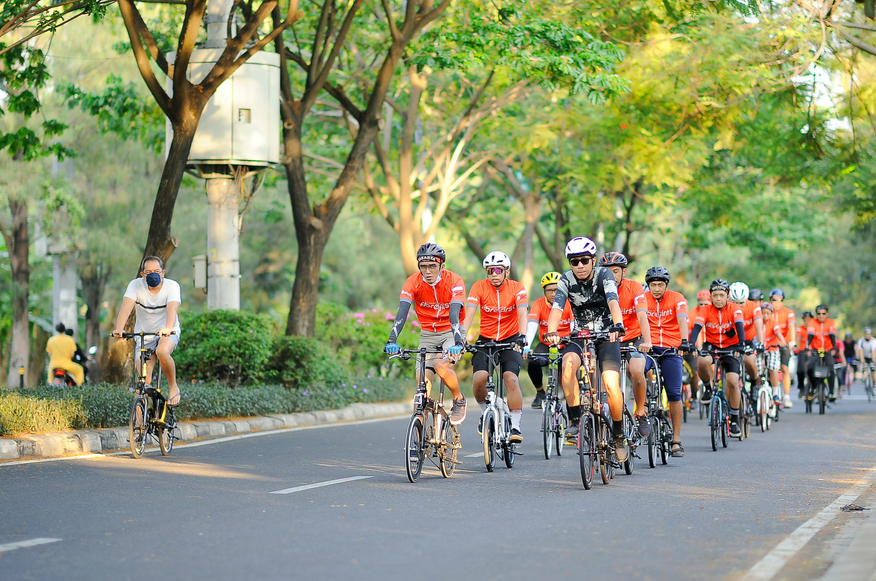 Woman Riding A Bike · Free Stock Photo